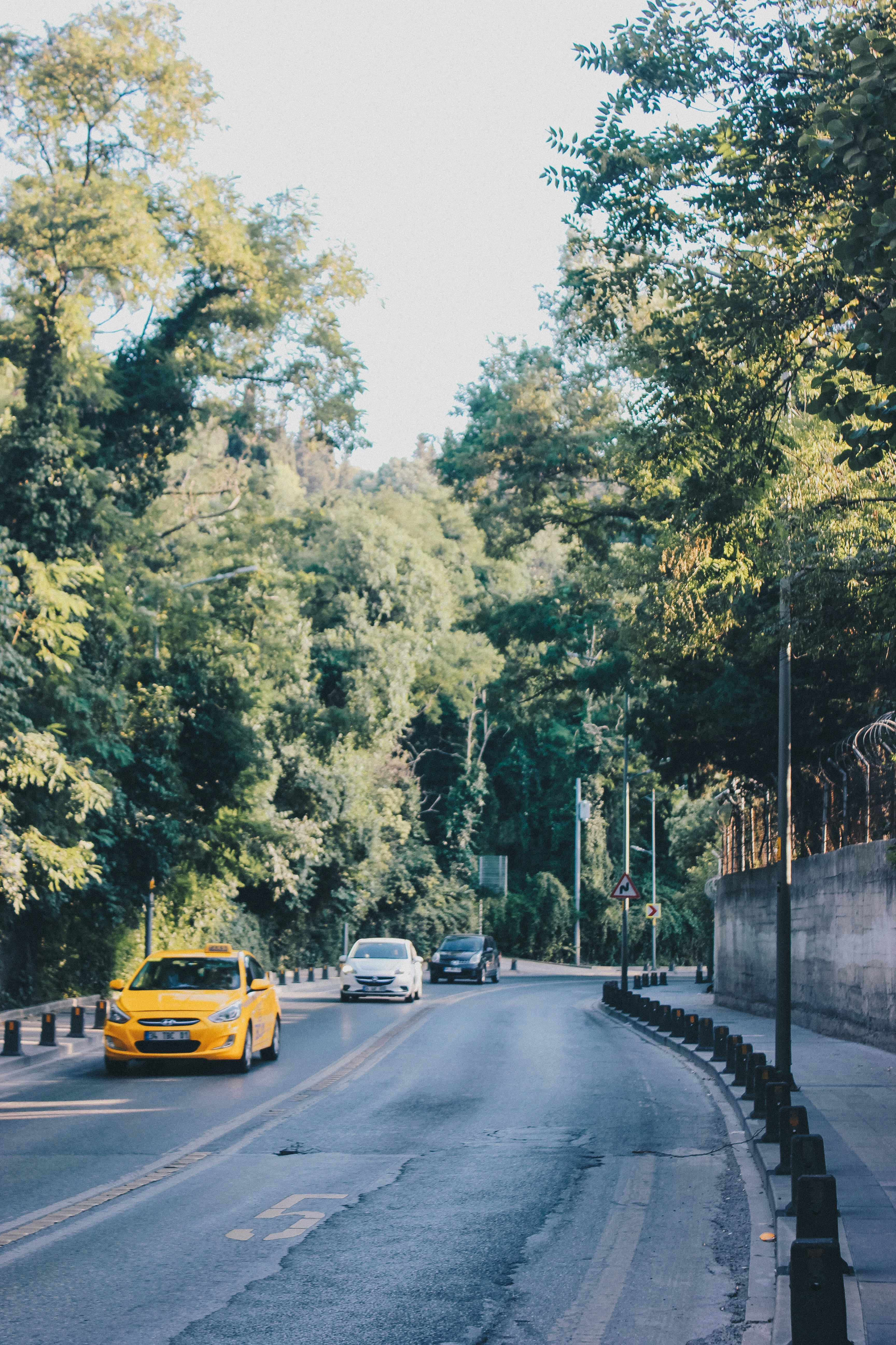 Yellow taxi navigating a winding road lined with lush greenery, showcasing the blend of urban and natural environments.