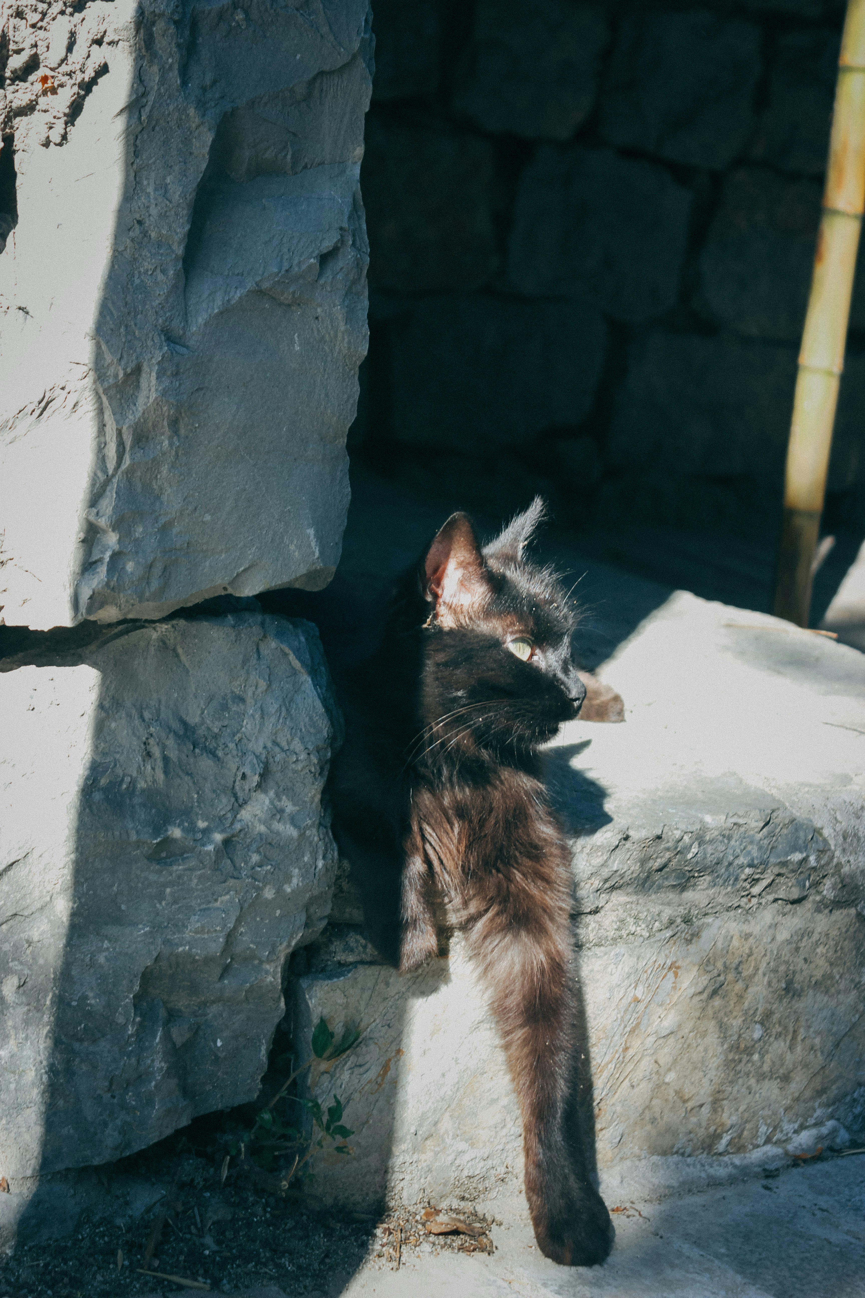 A black cat lounging lazily in a sunlit nook between stone walls, one paw elegantly draped over the edge. The scene captures a moment of tranquil leisure.