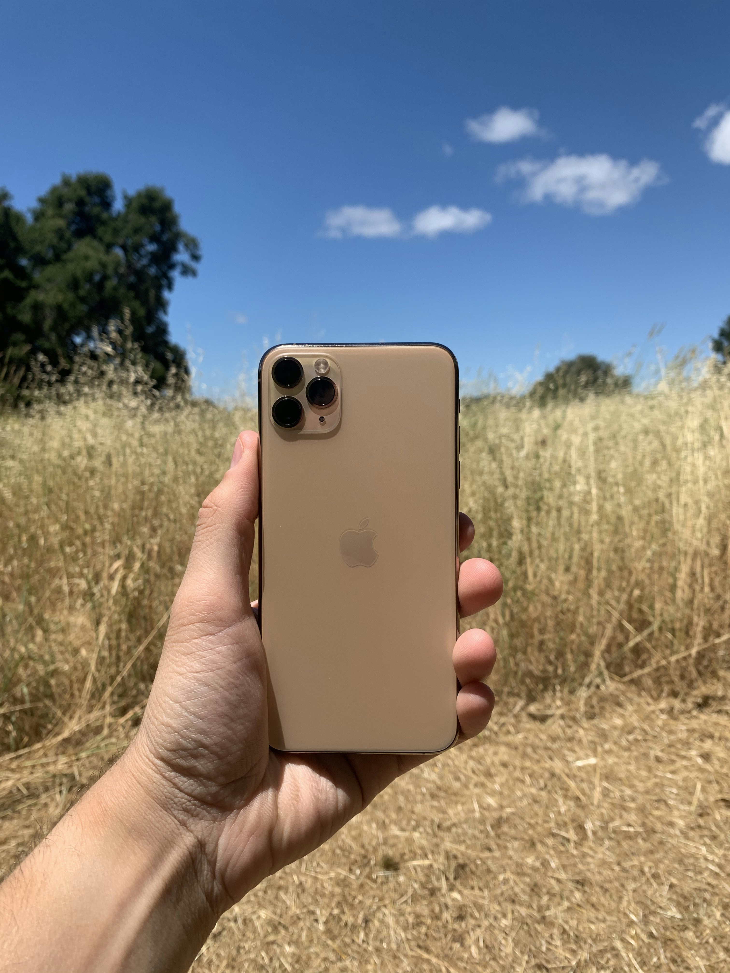 Hand holding an Apple iPhone XS Max in a sunlit field, showcasing its sleek design amidst tall grass and blue skies.
