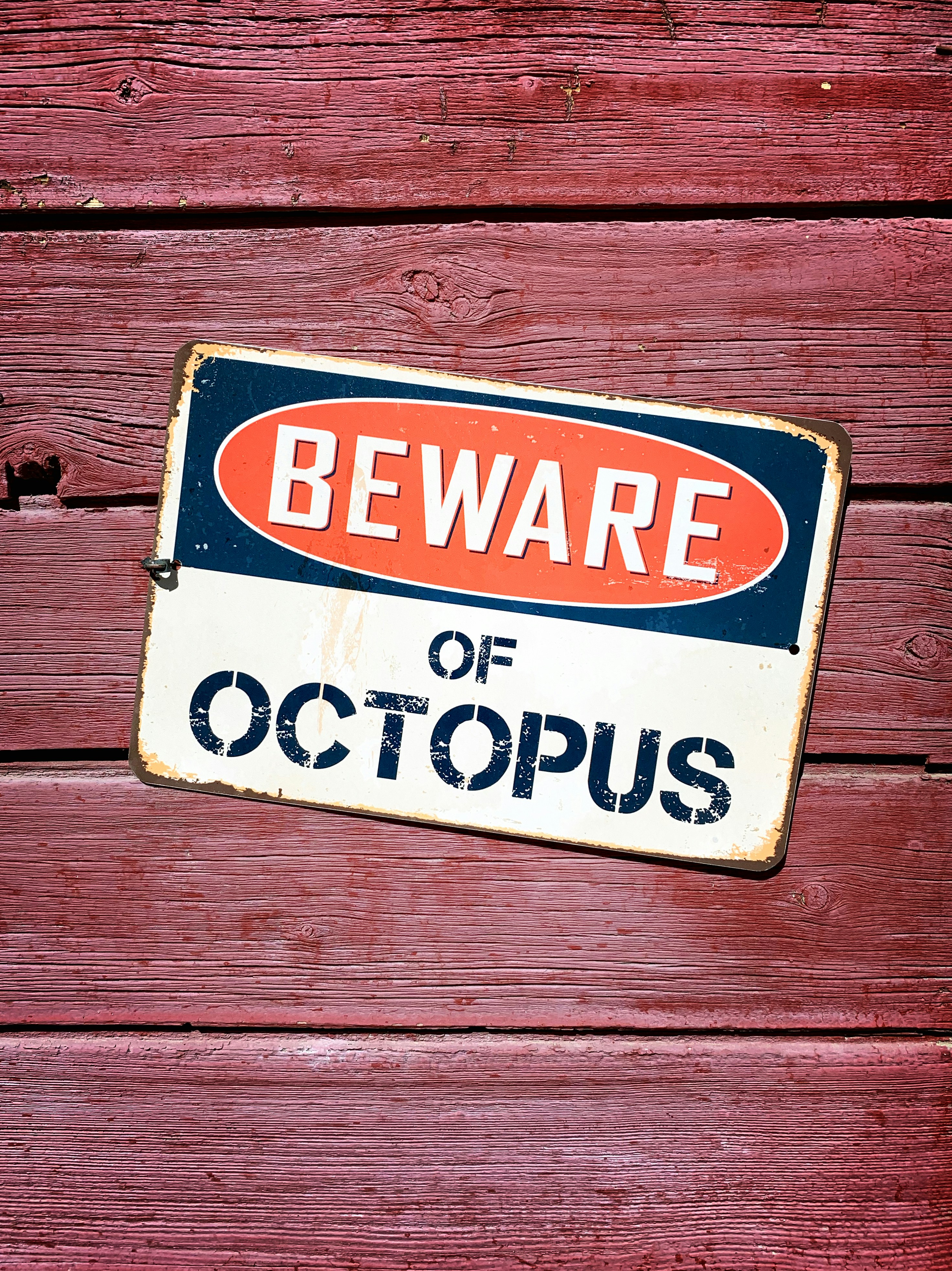 Beware Pictures | Download Free Images on Unsplash