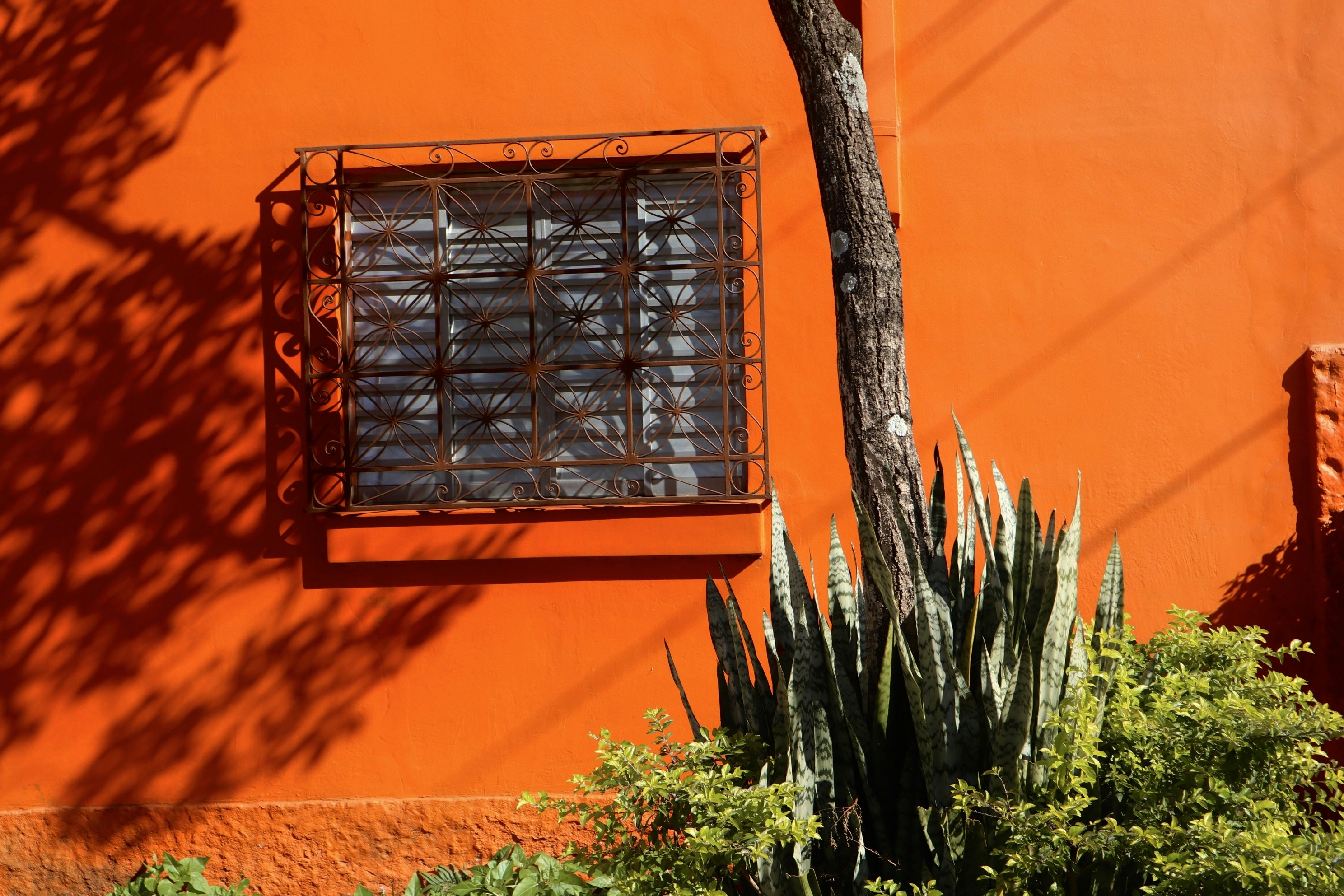 Gridded Window on a Tangerine Facade Under Shadow