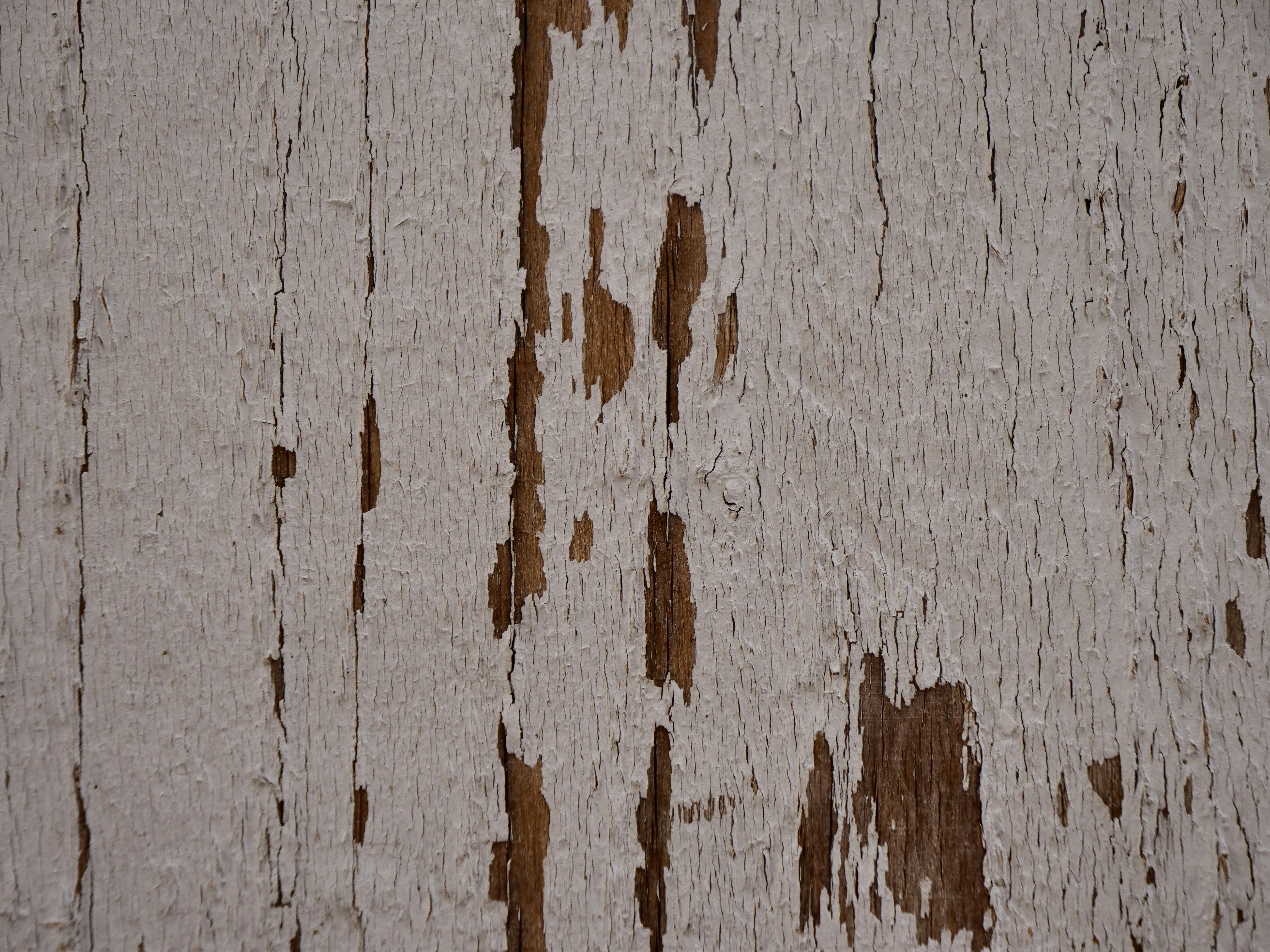 Close-up of a weathered wooden surface, showcasing intricate textures and peeling paint that tell a story of age and exposure.