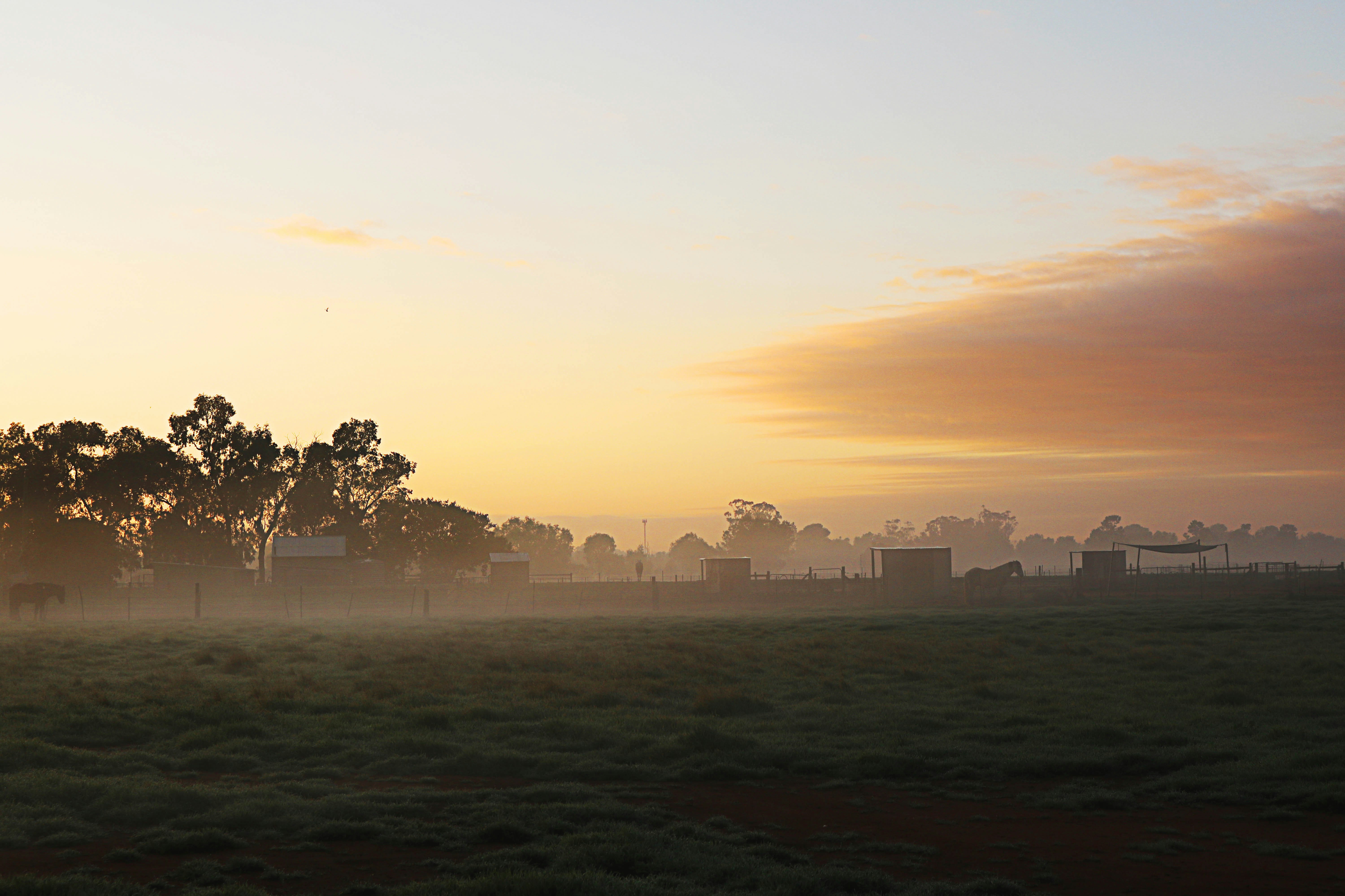 Rural Life // VMK Photography | 5 best free rural, farm, australia and ...