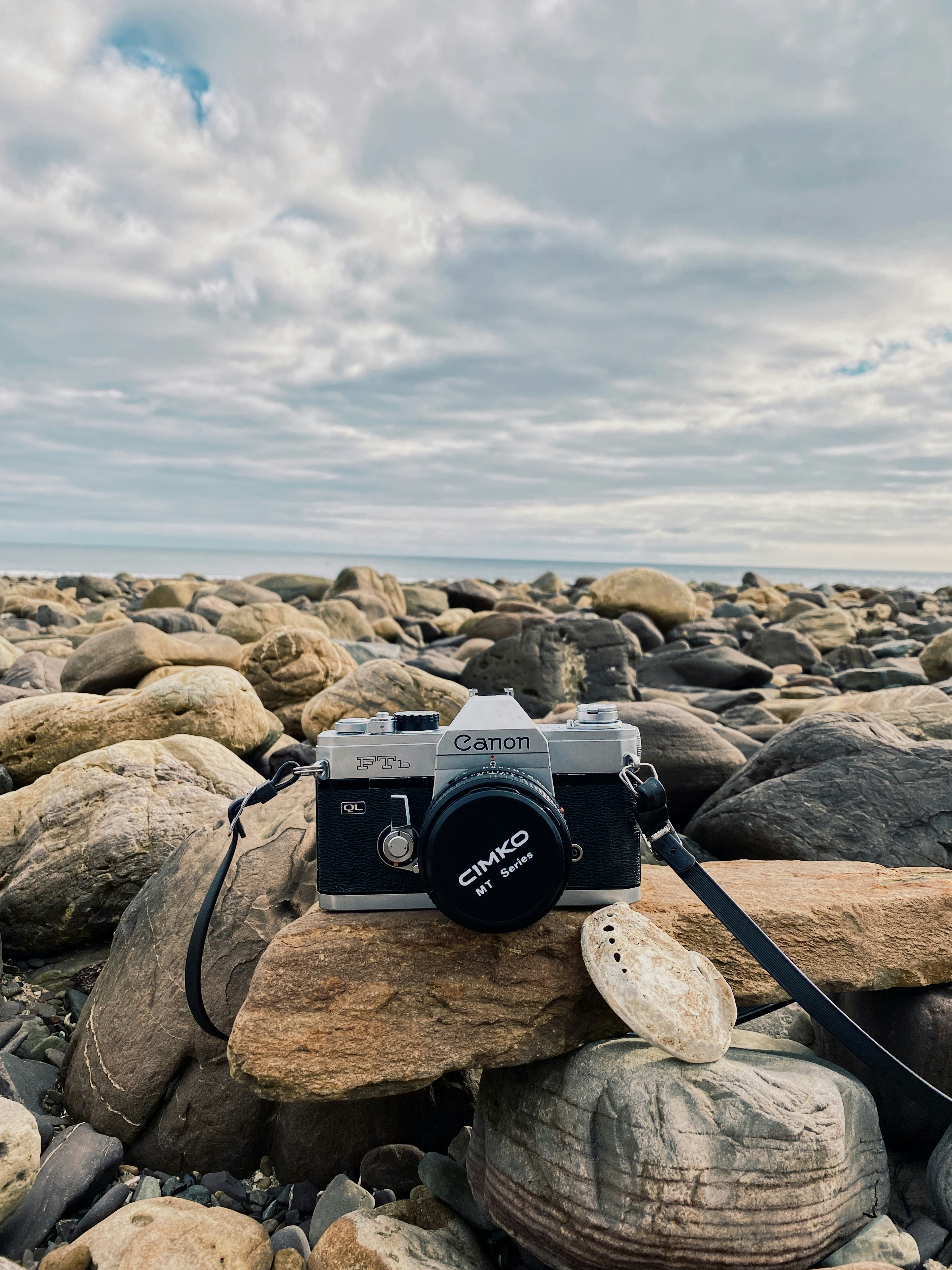 Stone Harbor Studio: A Vintage Canon Resting Among Sea-Worn Rocks