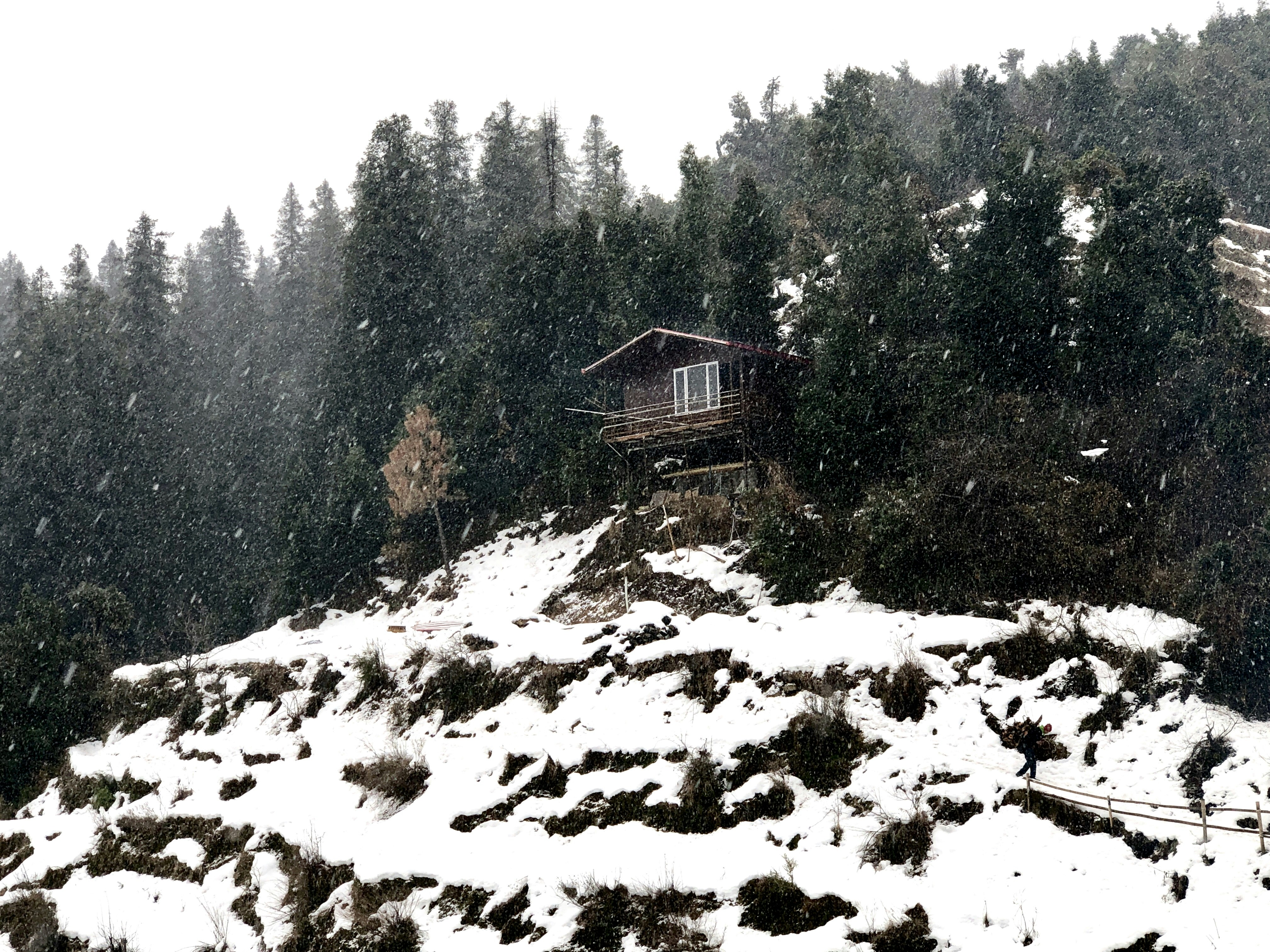 A wooden cabin perched on a snowy slope, surrounded by dense evergreen trees during a snowfall.