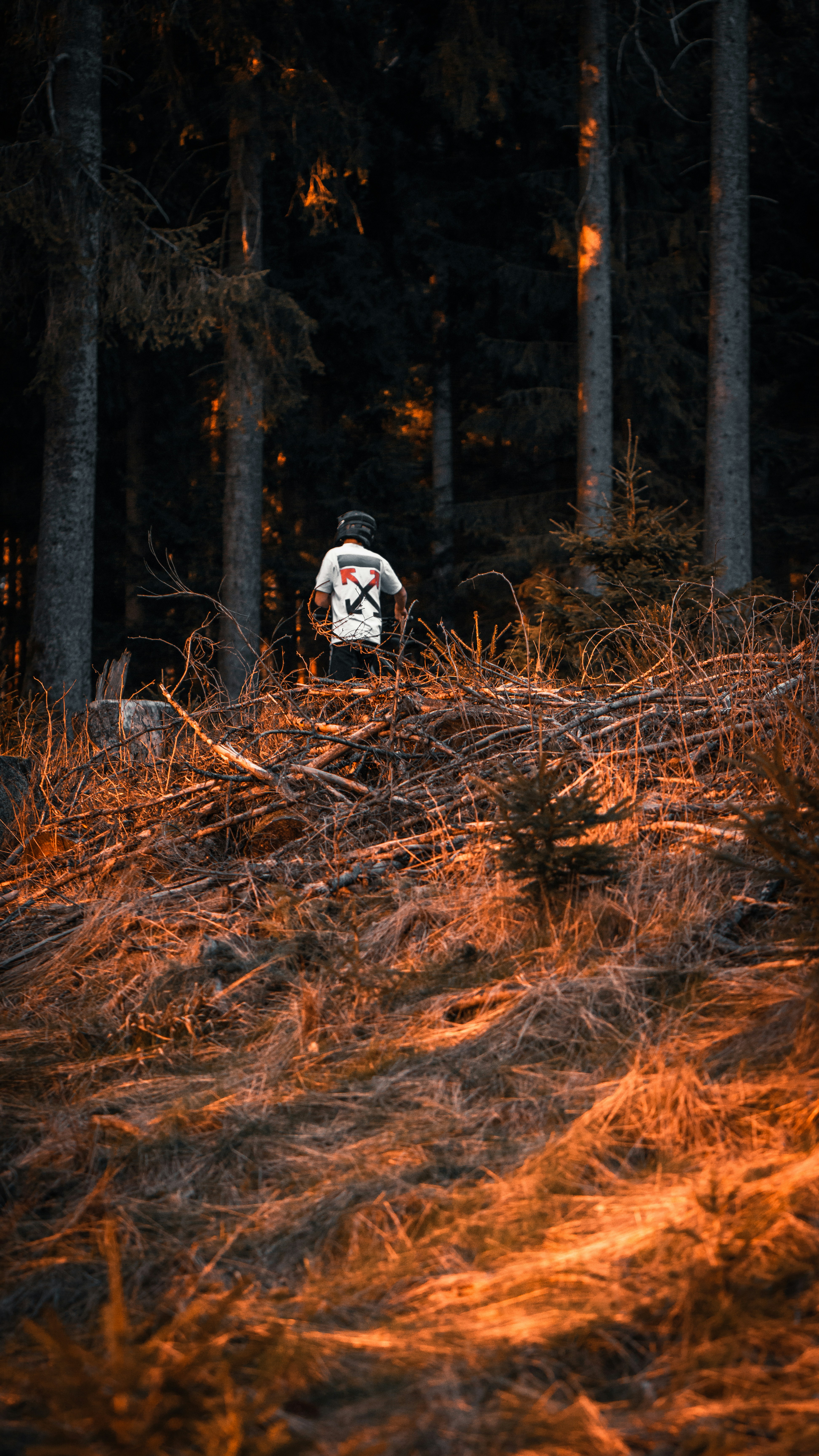 The Solitary Explorer Amongst Embered Woods