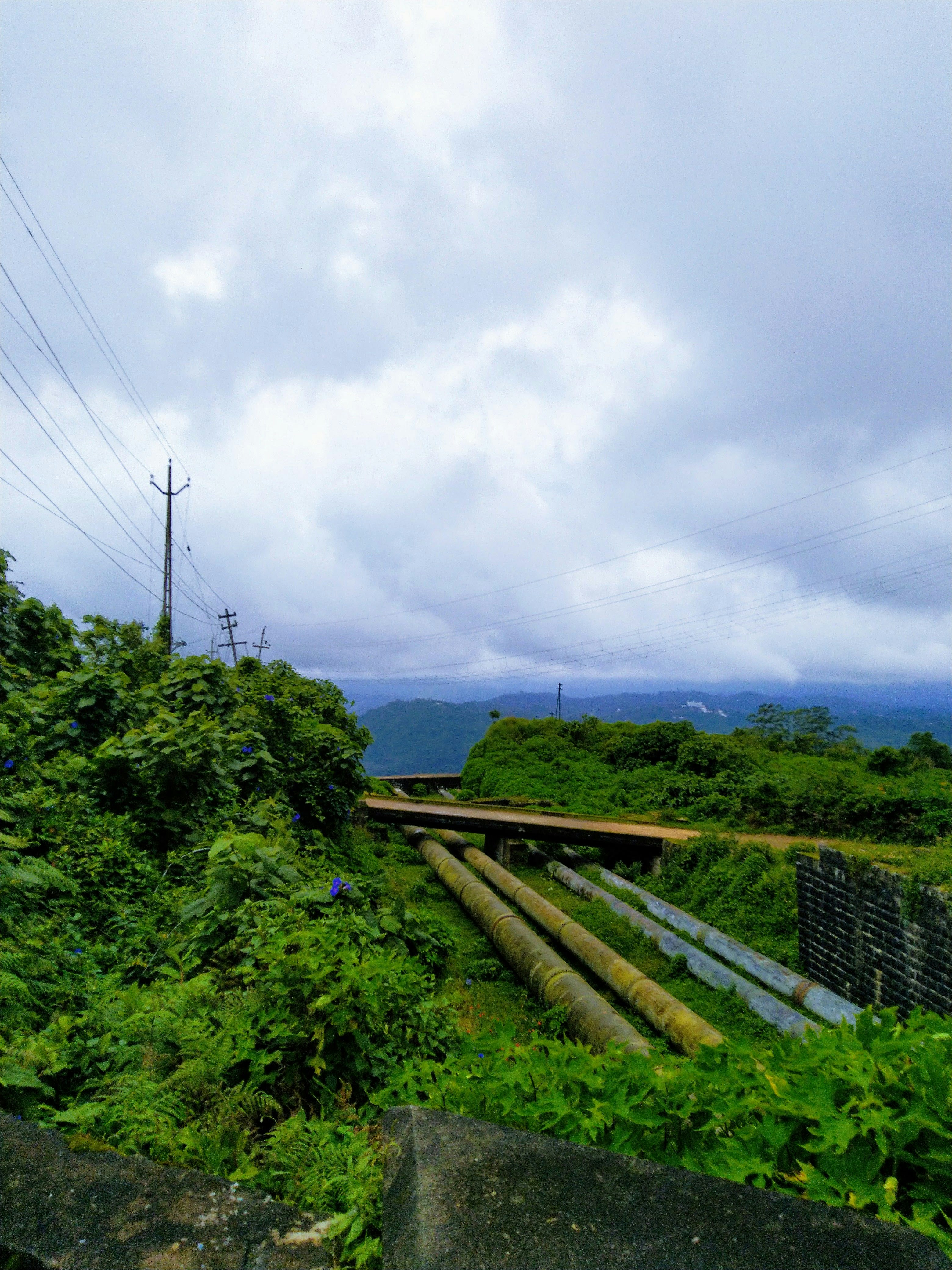 green trees near mountain under white clouds during daytime