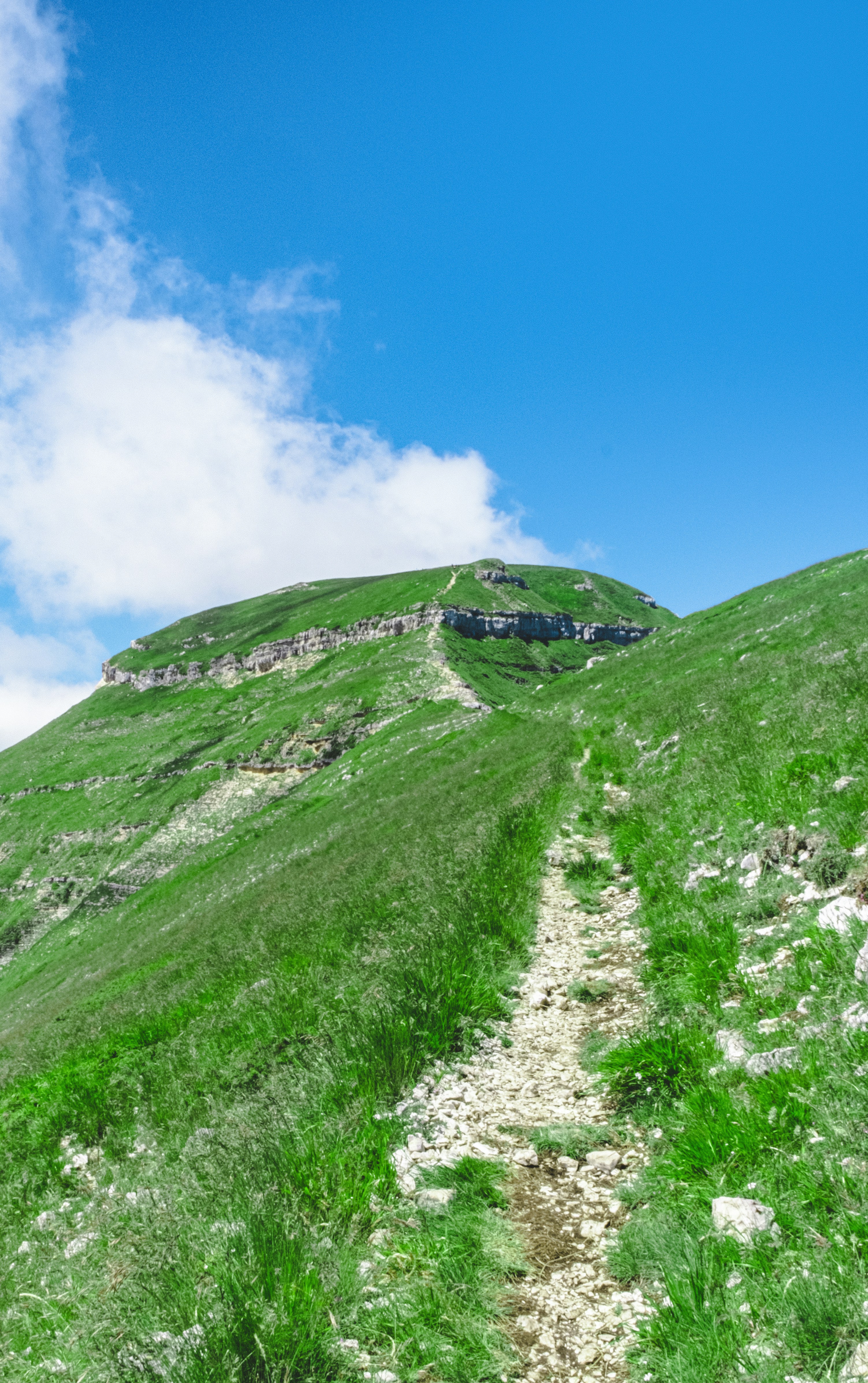 Définition de monte-plat | Dictionnaire français