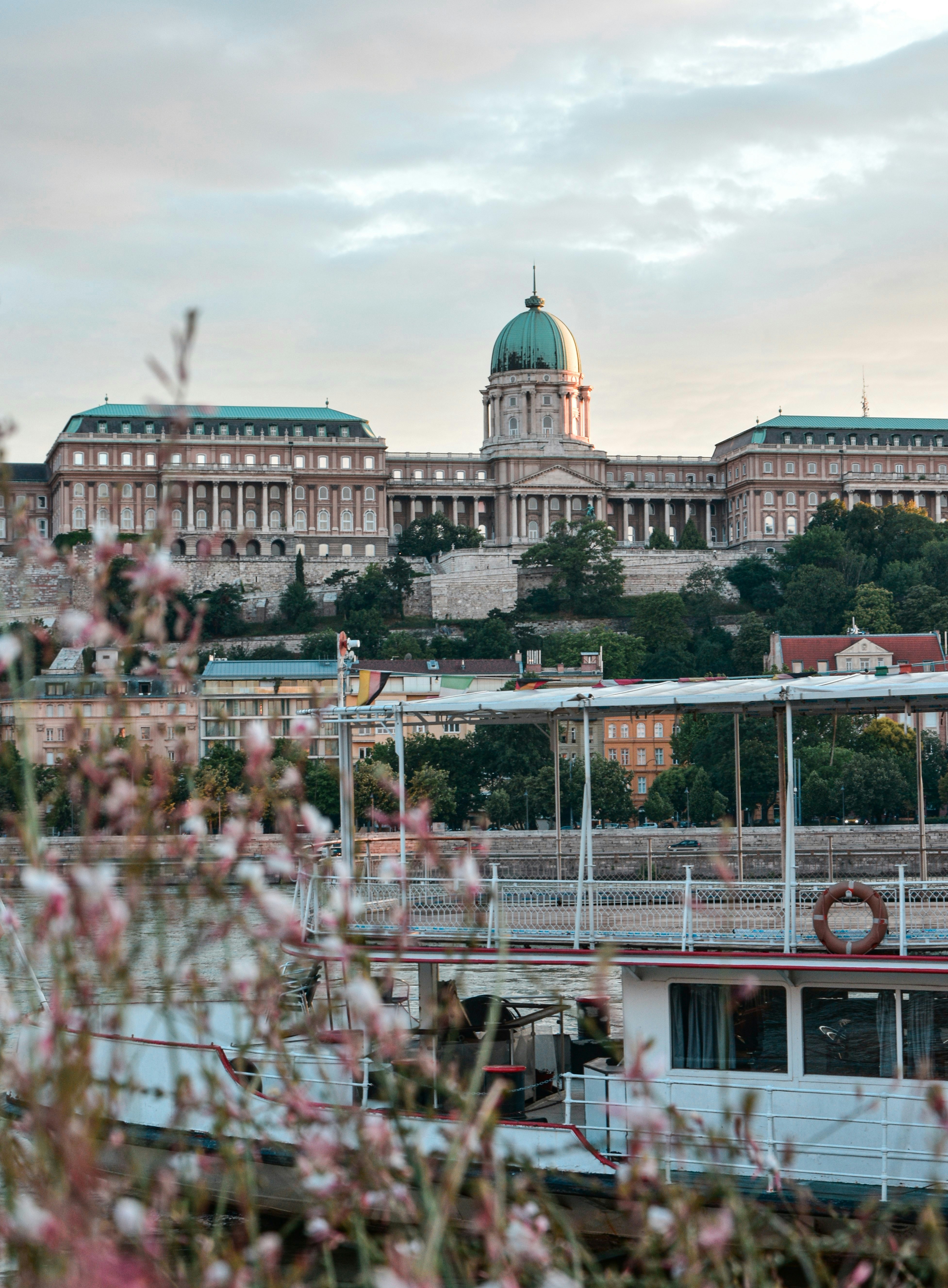 Budapest Grand dome over the Danube: a cityscape constrained by flowering foreground