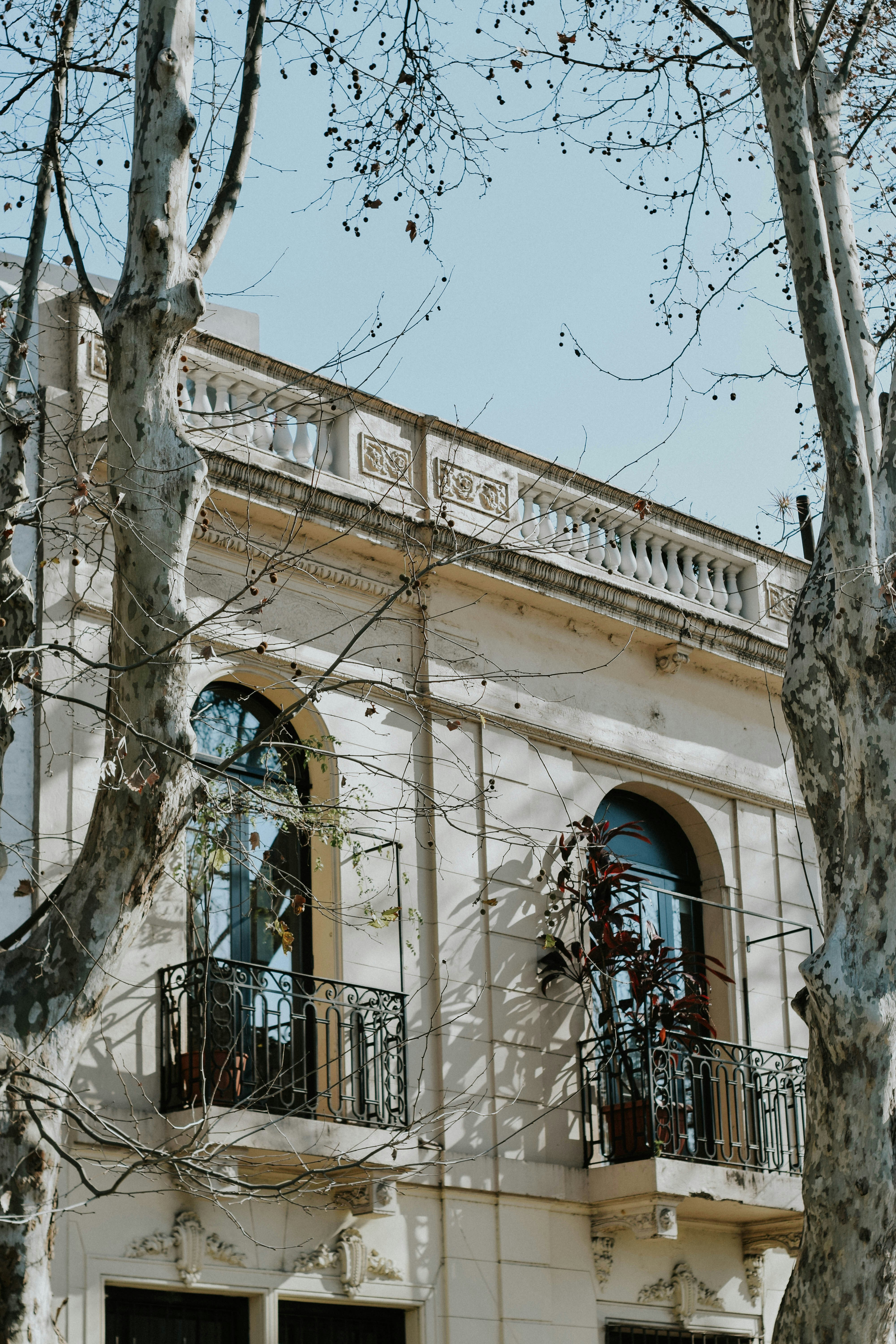Historic building adorned with intricate balconies, partially obscured by tall trees, showcasing a blend of architecture and nature.