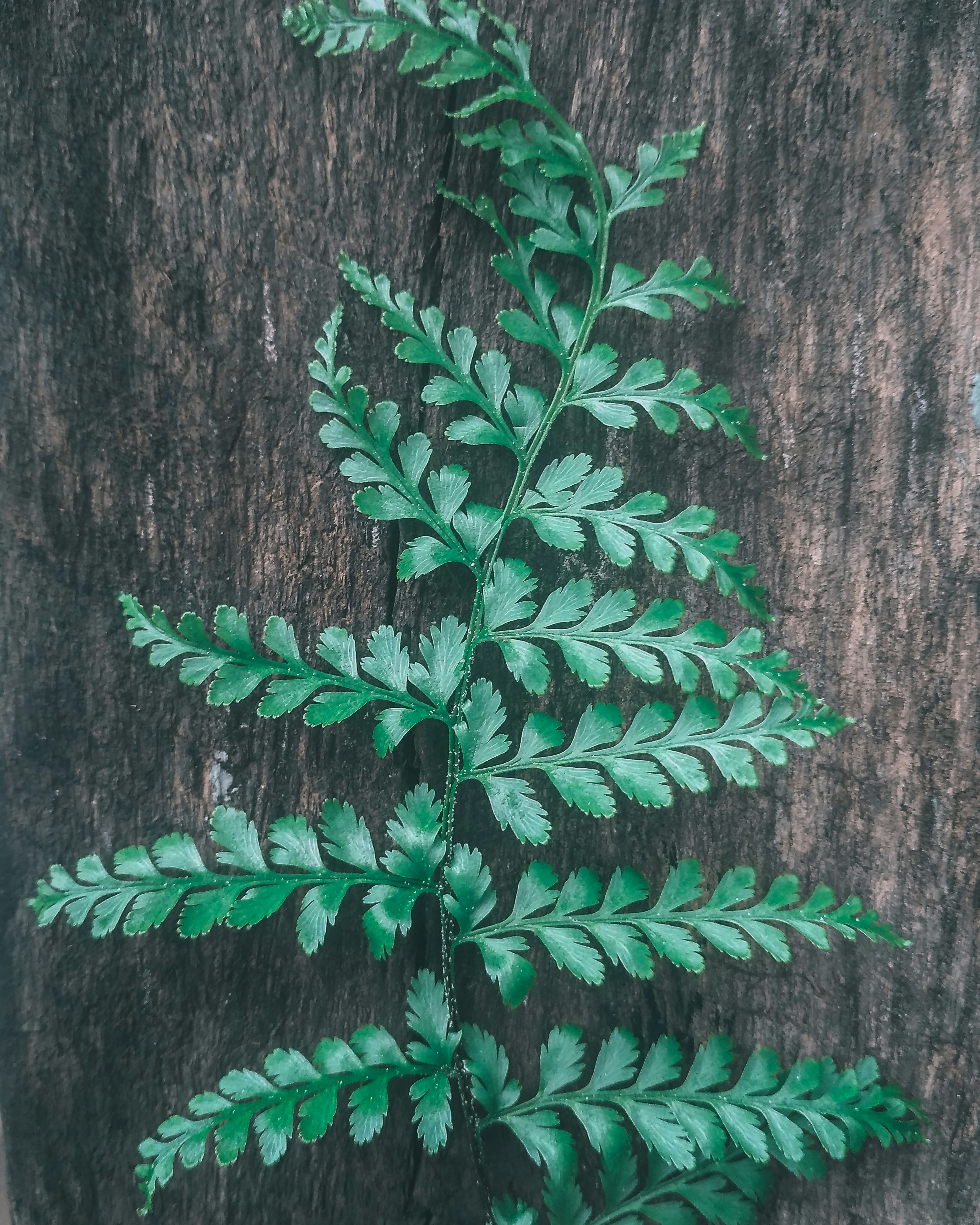 Julianti (@julianti_uns) | Komunitas Foto Unsplash