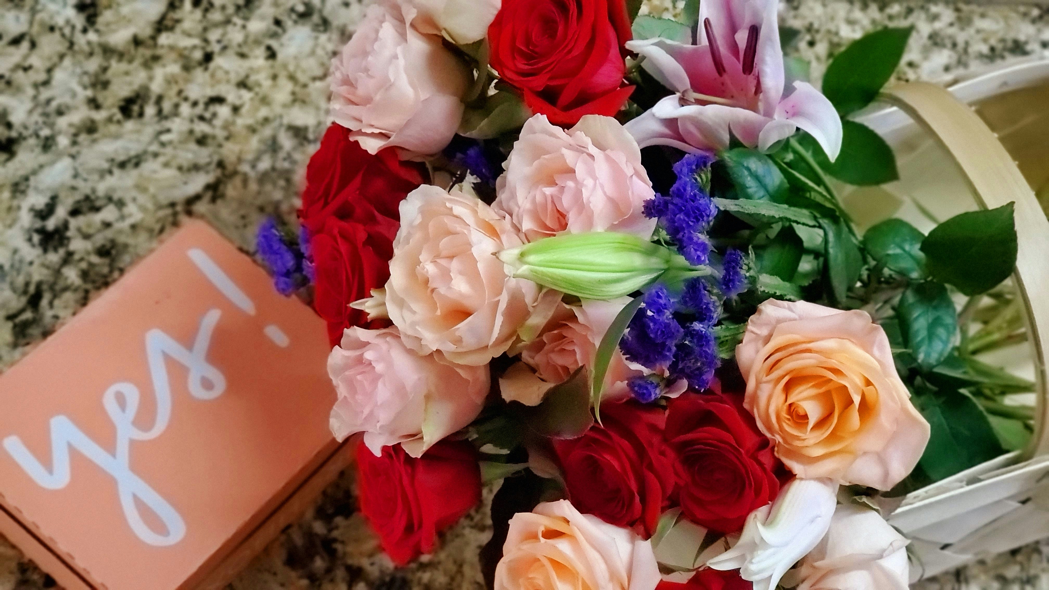 Karolina Bobek (@karolinabobek) | Unsplash Photo Community