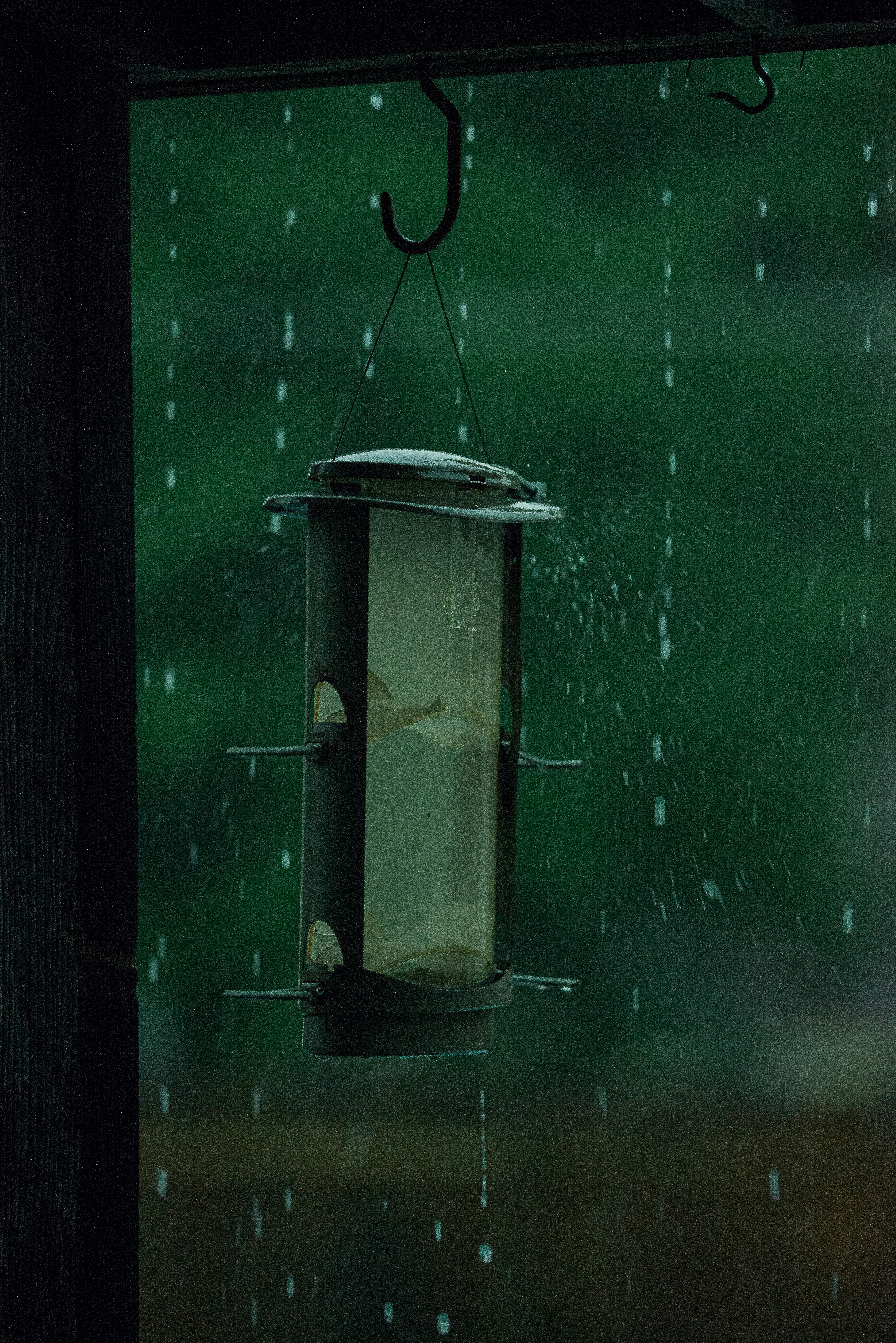 A hummingbird feeder suspended in the rain, droplets cascading down its transparent surface, creating a serene atmosphere. The blurred green background enhances the tranquil mood.