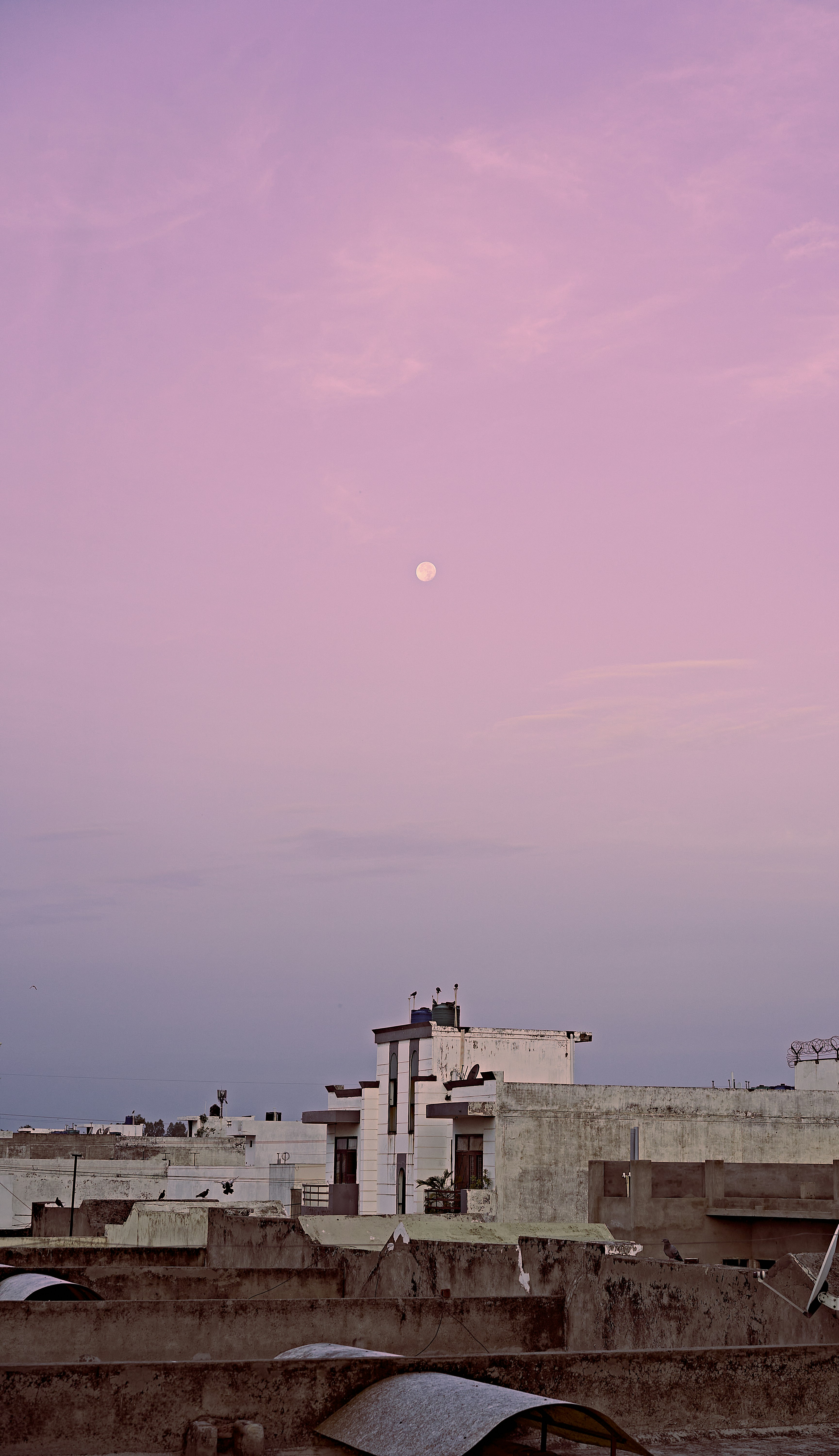 Moonrise Over Whitewashed Rooftops at Pink Dusk
