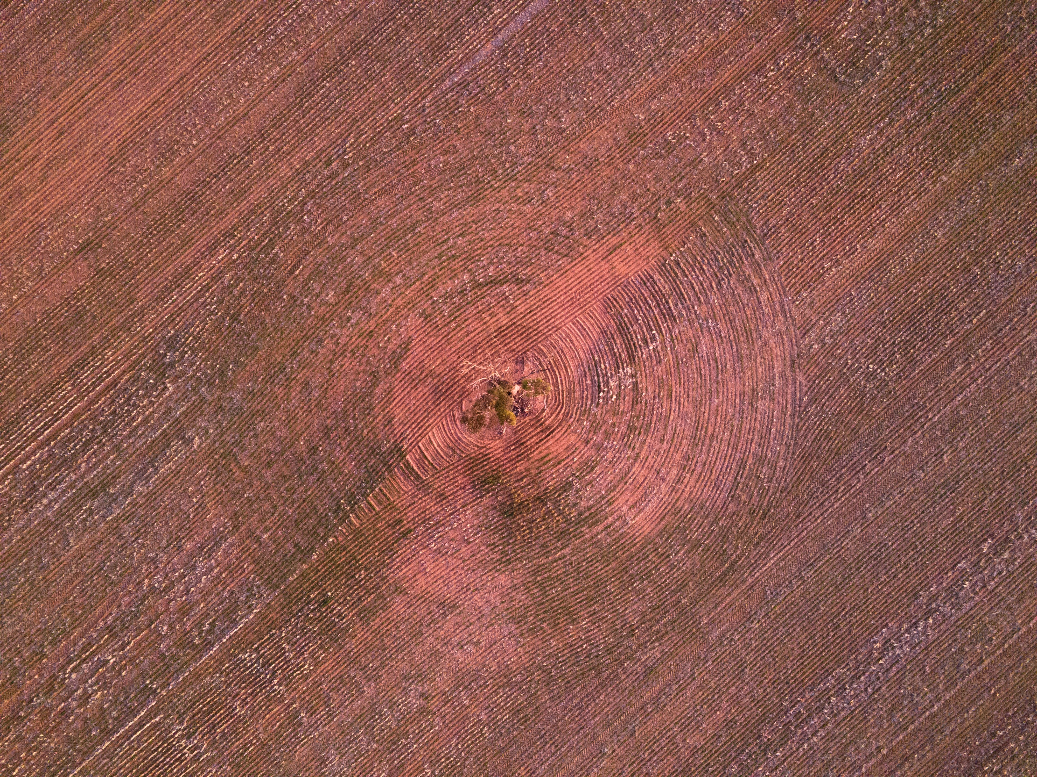 Farm