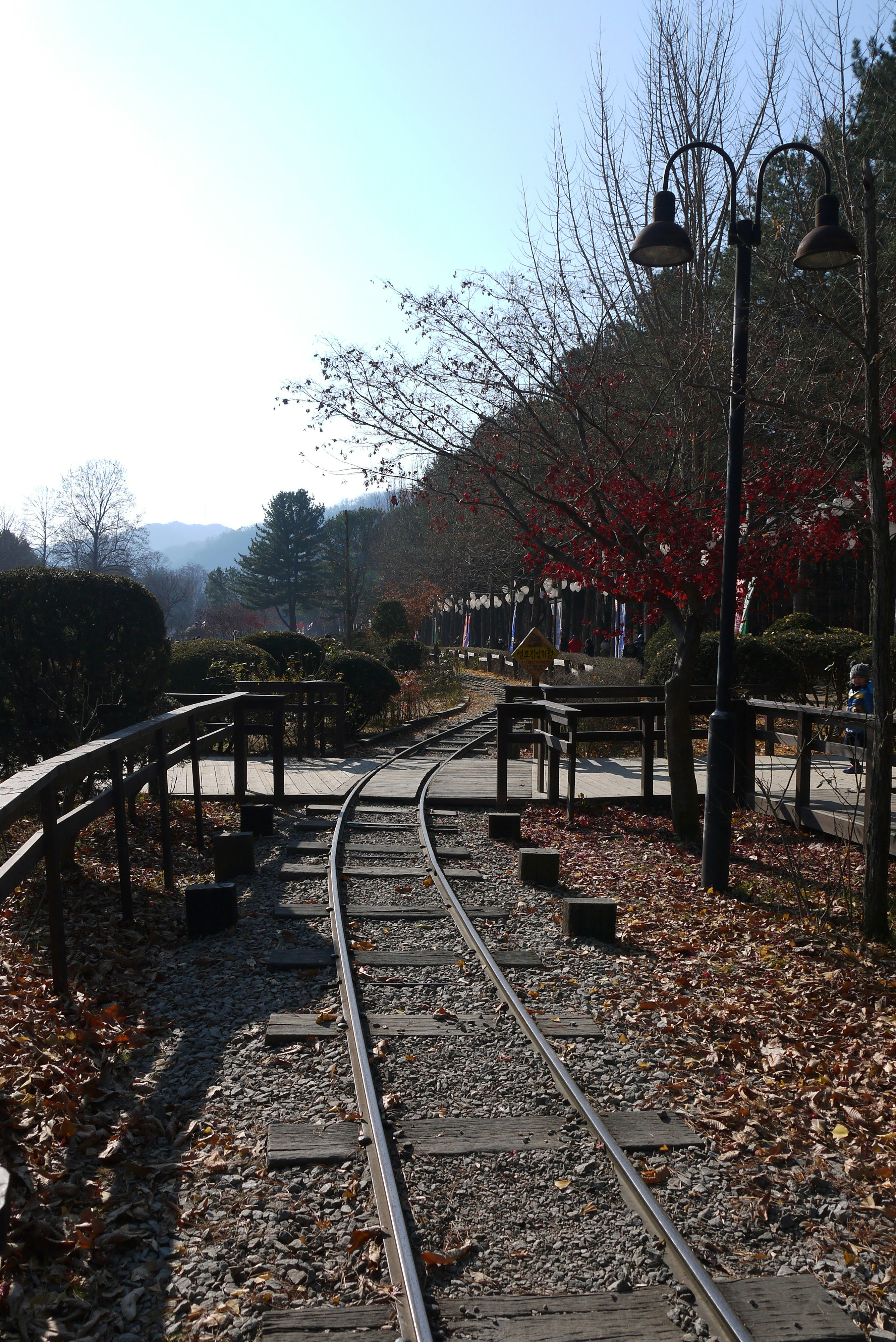 Narrow-gauge tracks wind through a leaf-strewn park, flanked by benches, lampposts, and bare trees in autumn.