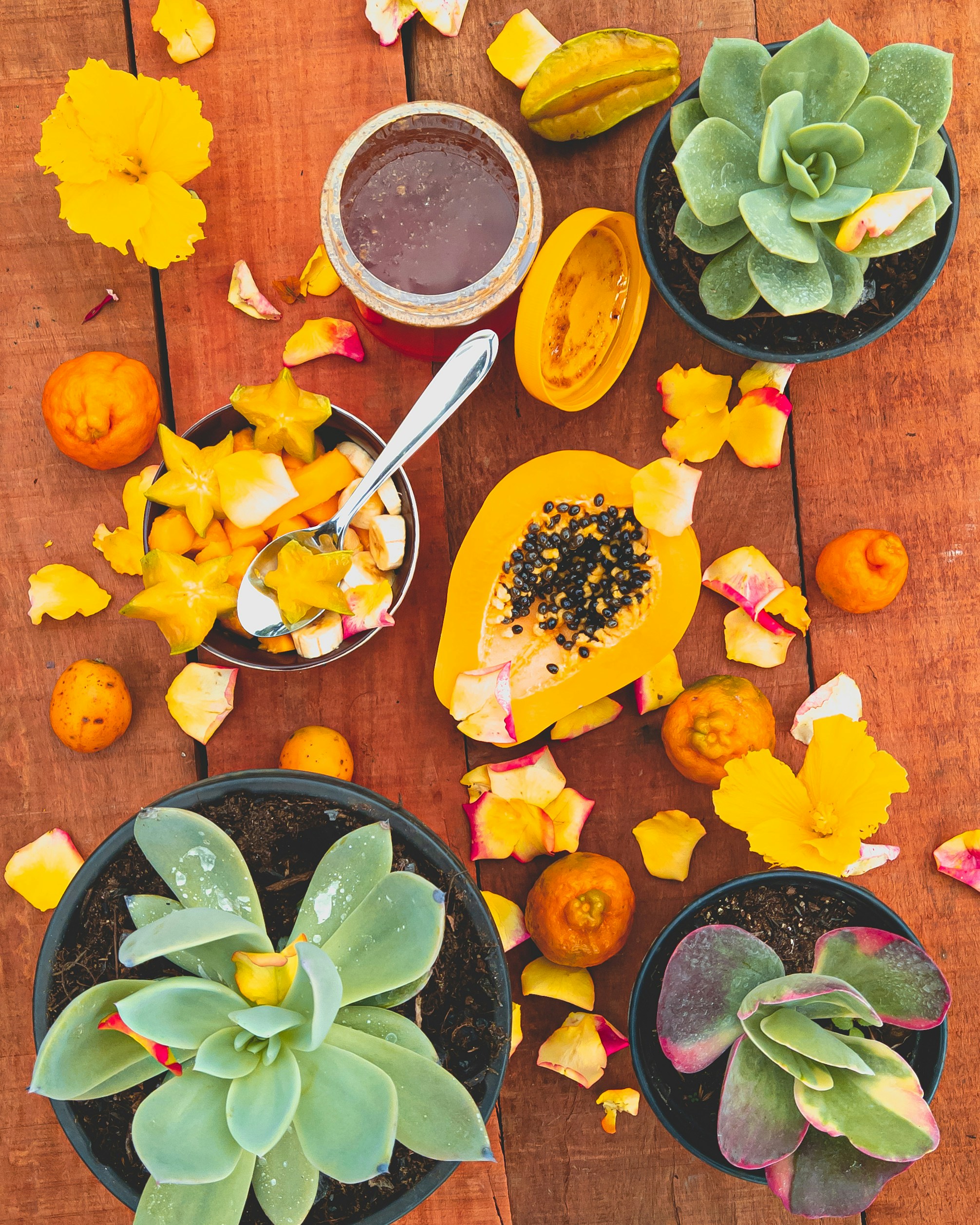 Colorful Garden Table: Succulents, Papaya Crescent, and Petals