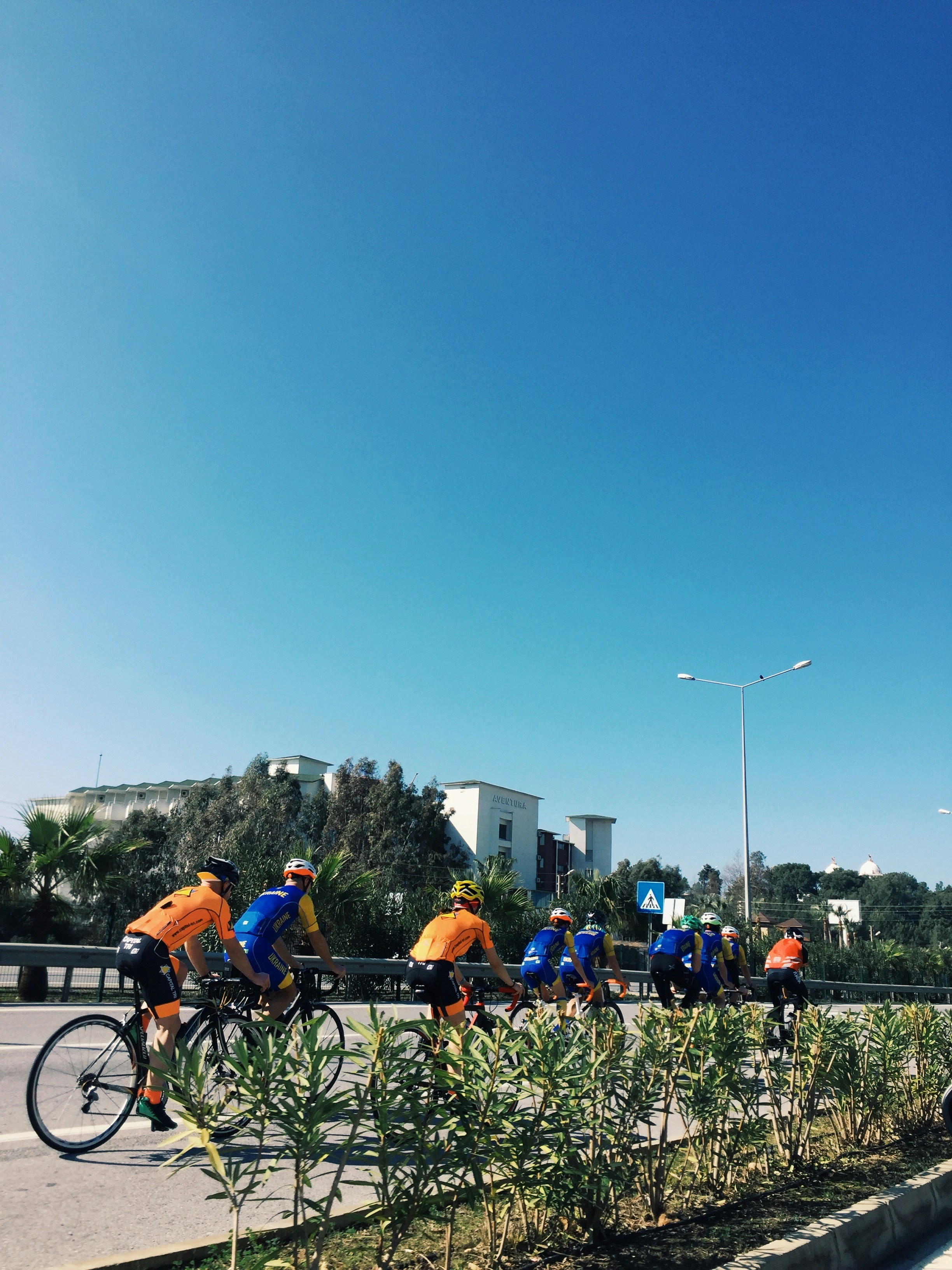 Orange-Blue Peloton on a Sunlit Highway