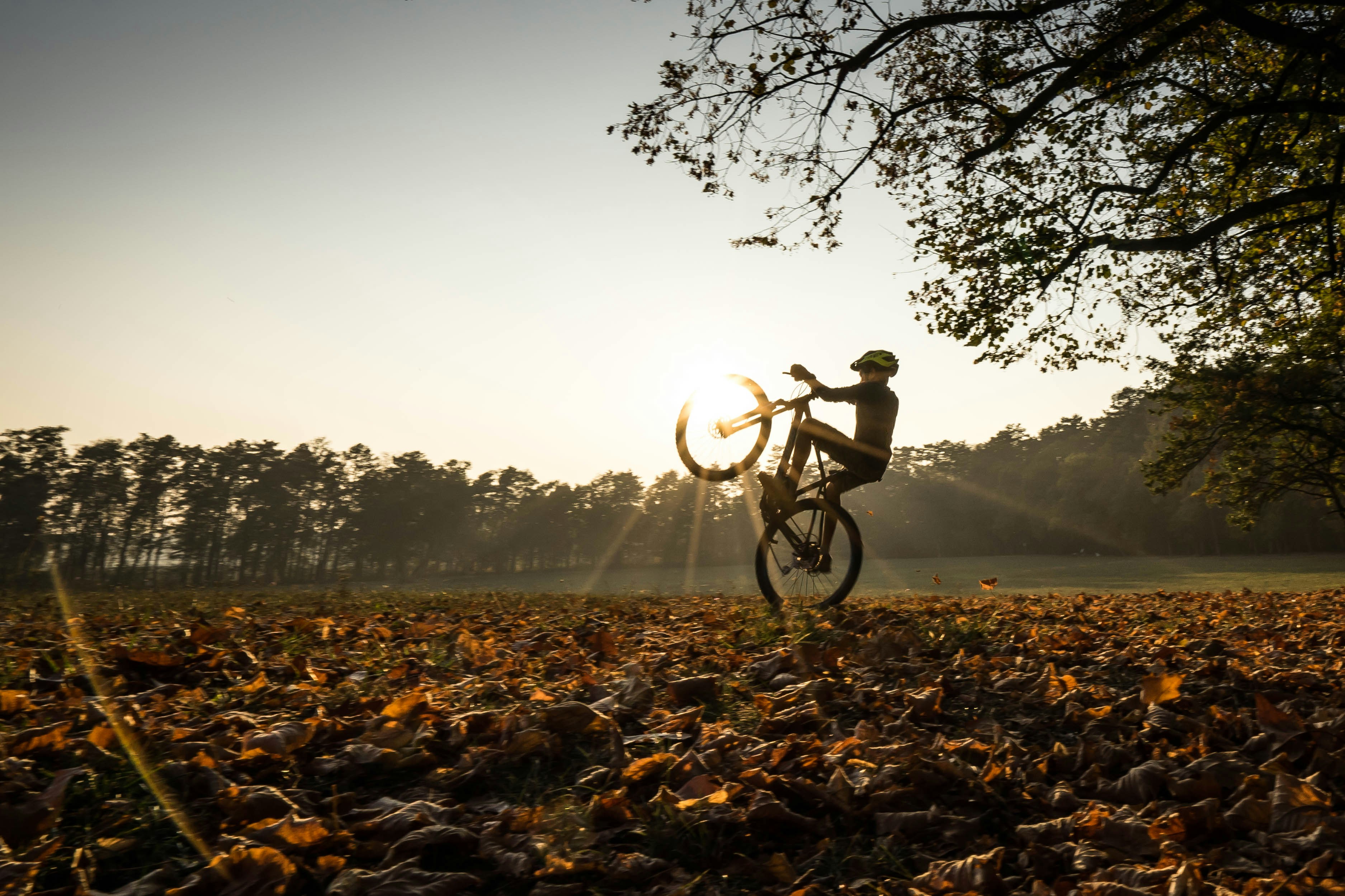 Man riding bicycle on brown field during daytime photo – Free Sunset ...