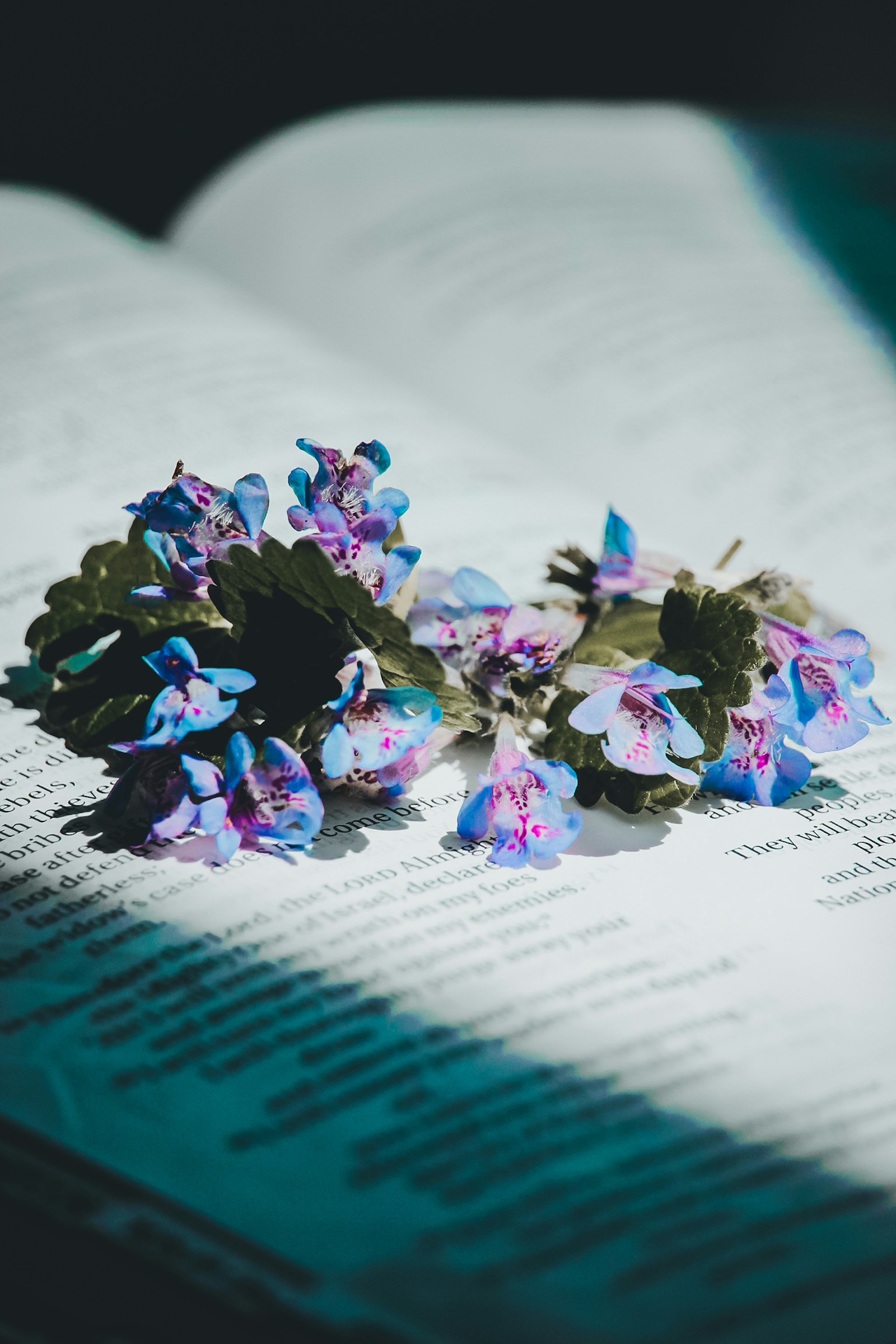 Aqua blue flowers