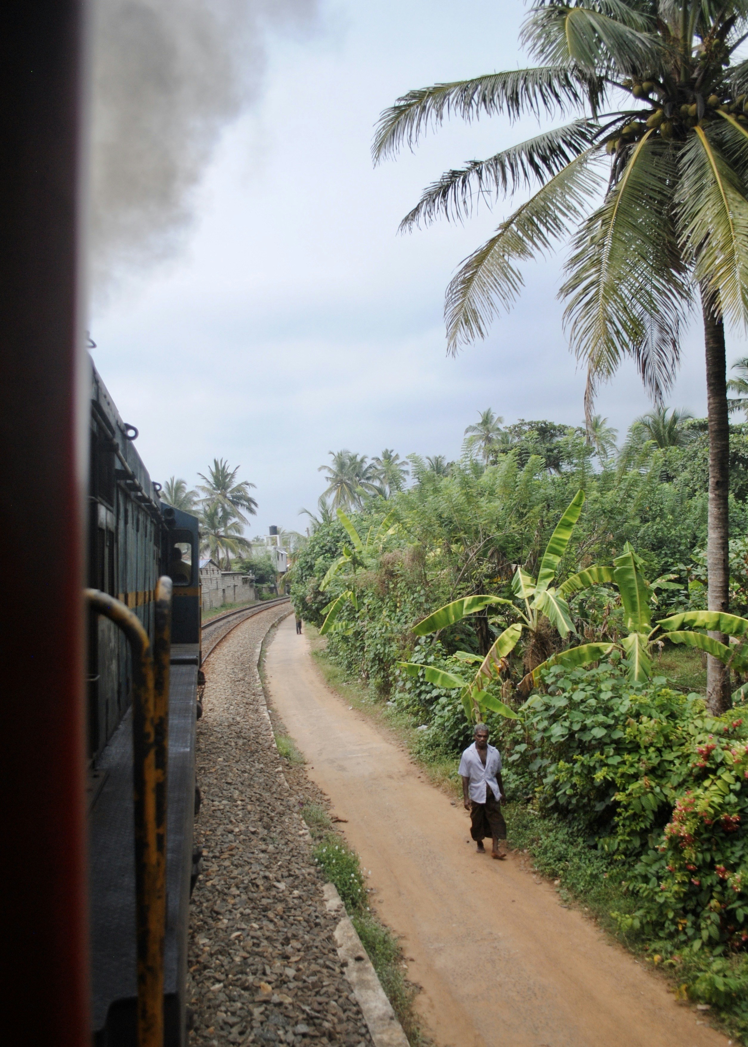 A train travels alongside a winding path, with a lone figure walking amidst vibrant greenery and palm trees. The scene captures the essence of rural exploration.