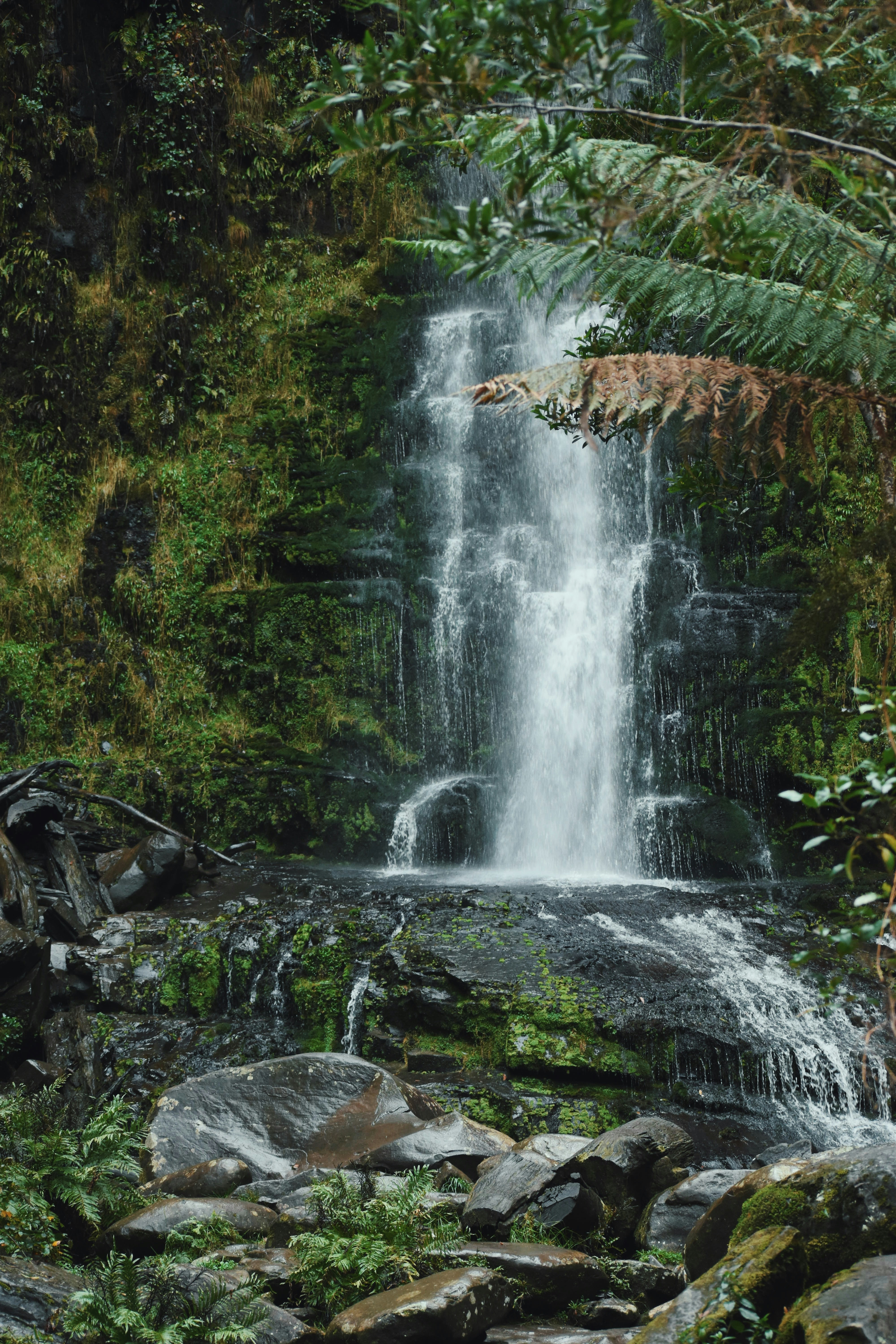 A serene waterfall descends over moss-covered rocks, surrounded by lush greenery and ferns. The tranquil scene captures the essence of nature's beauty.