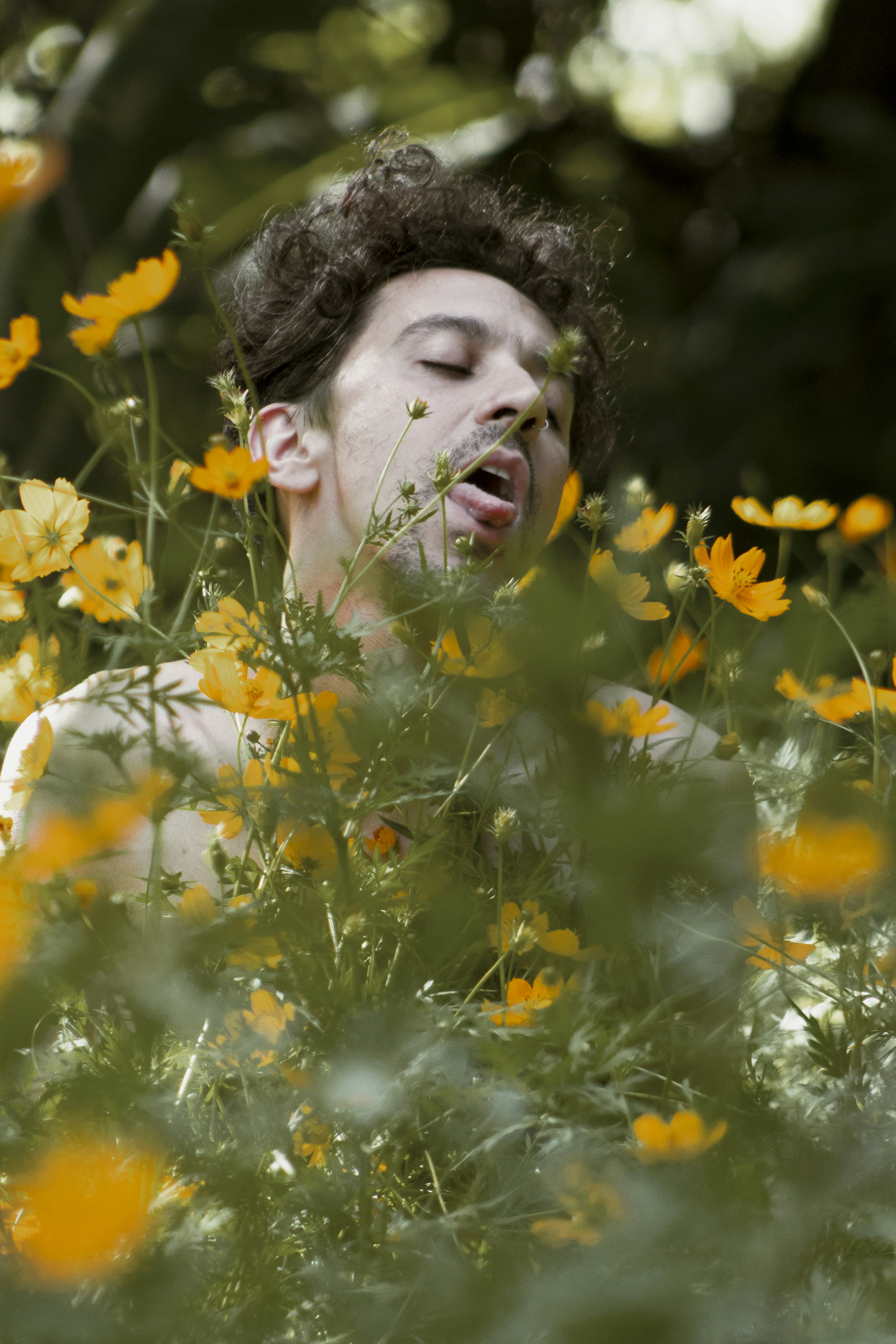 Blossoms of Desire: A Fragrant Moment Among Golden Flowers