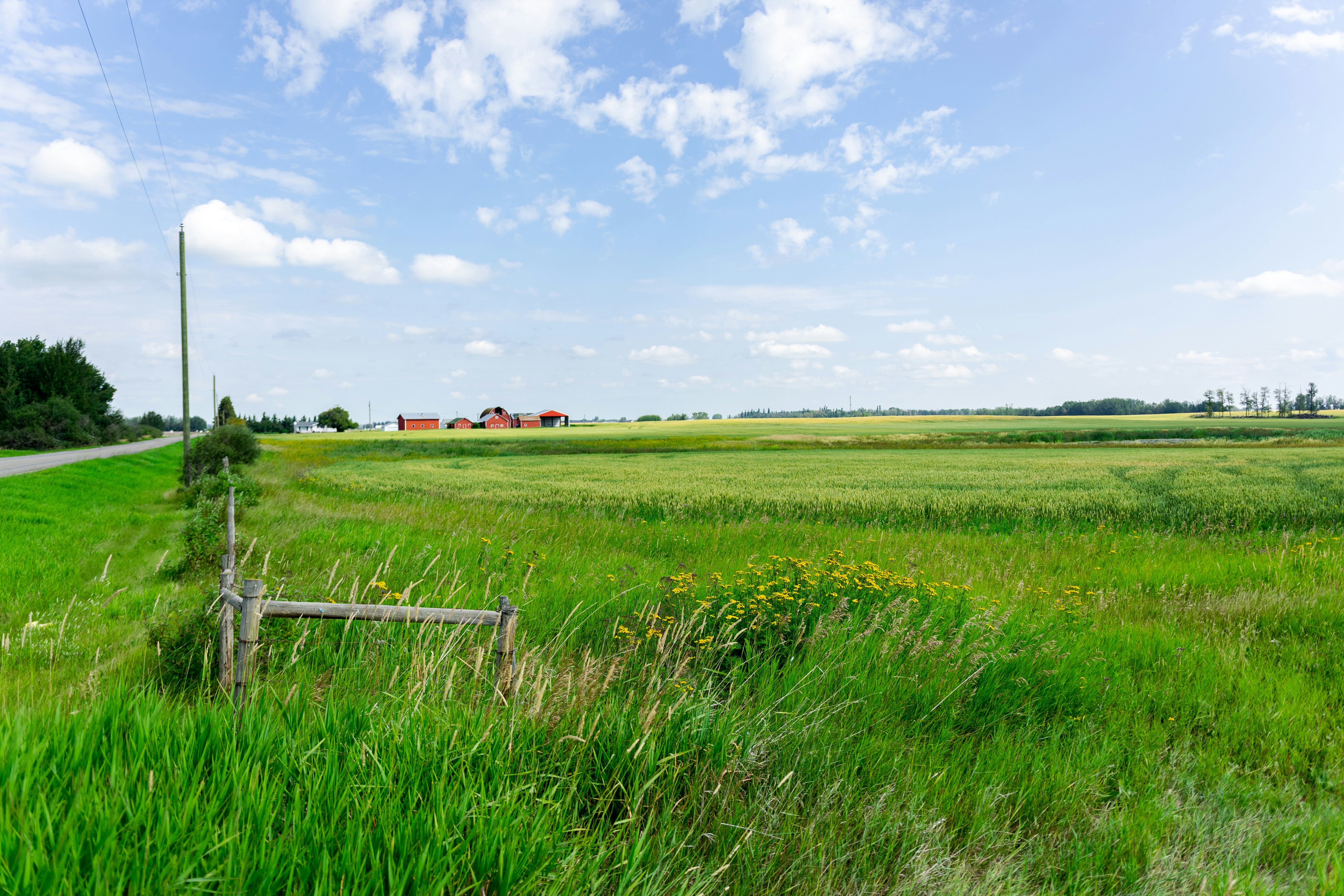Expansive green fields under a bright blue sky with scattered clouds.