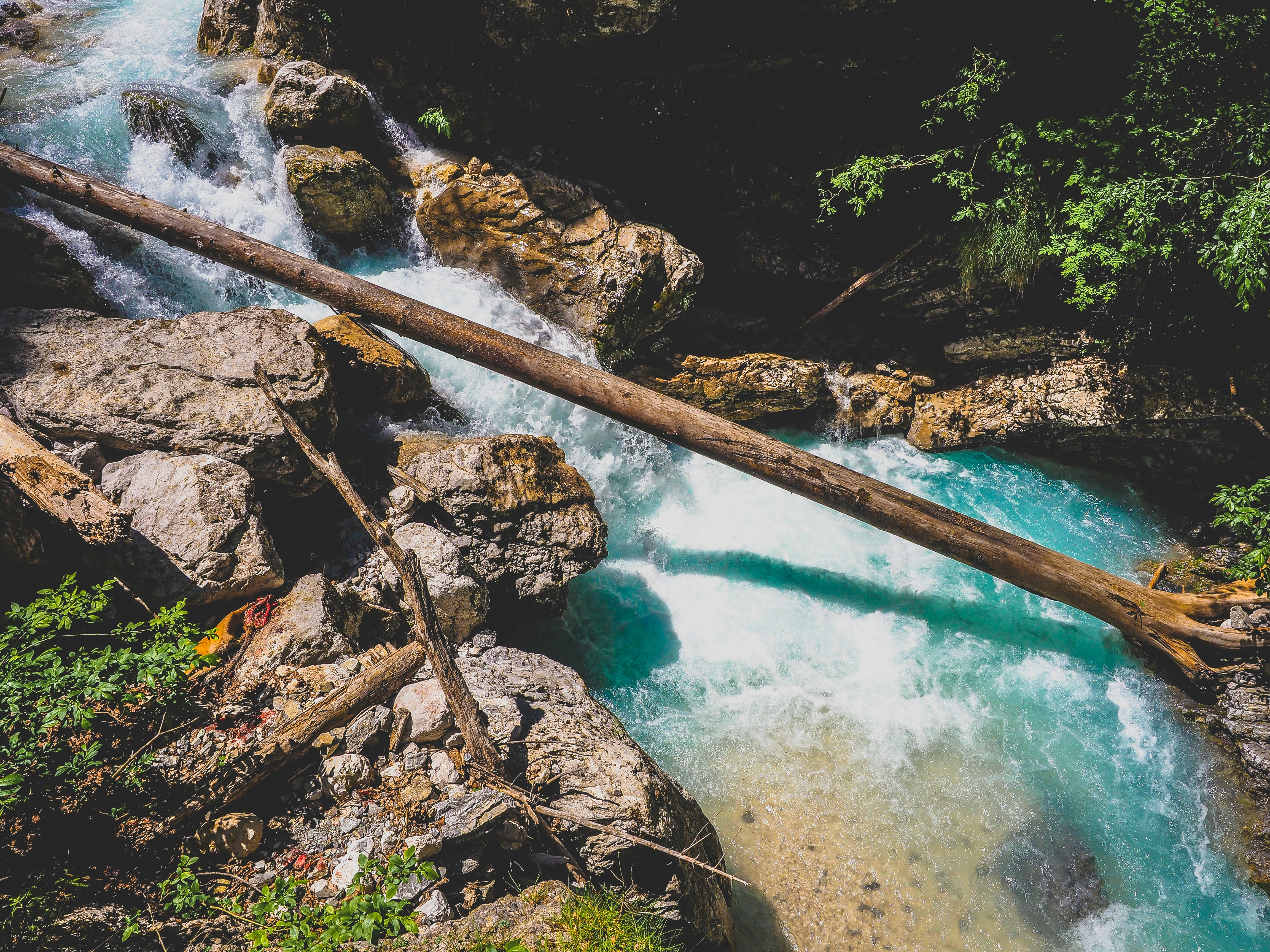 Turquoise Torrent Beneath a Fallen Log