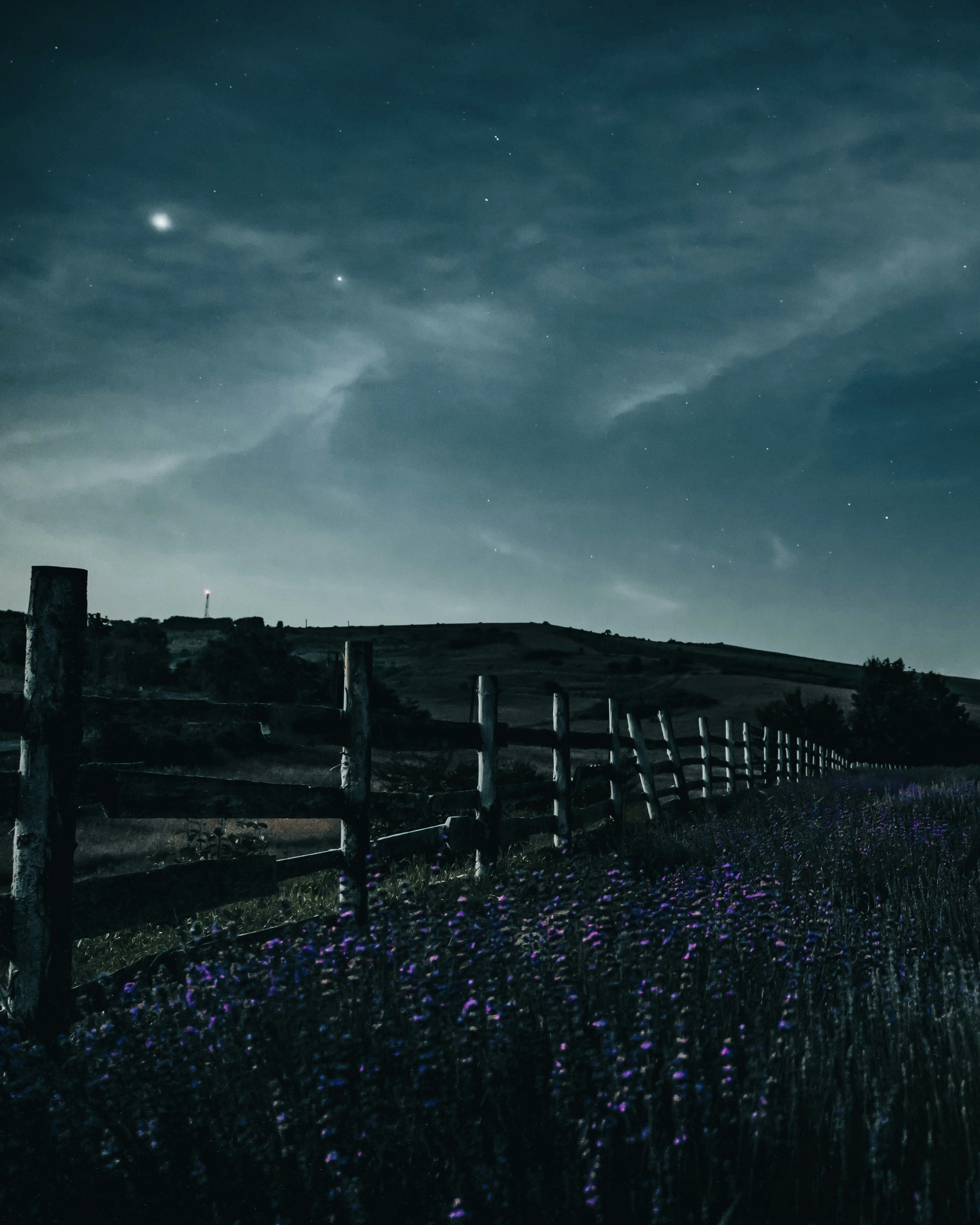 A serene lavender field stretches beneath a night sky filled with stars, framed by a rustic wooden fence. The gentle glow of distant lights adds depth to the tranquil scene.
