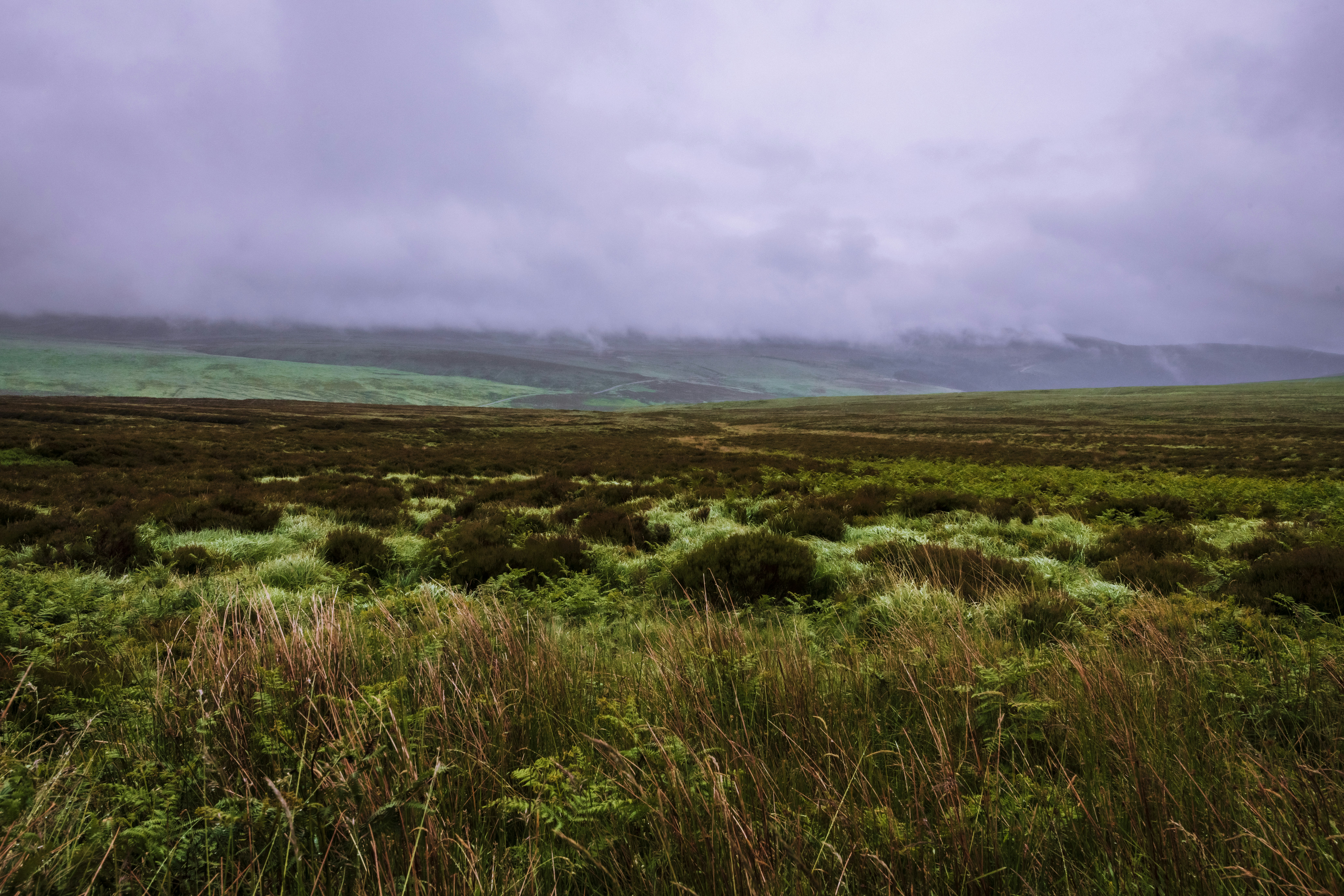 Rolling green fields stretch under a blanket of thick clouds in the Wicklow Mountains.