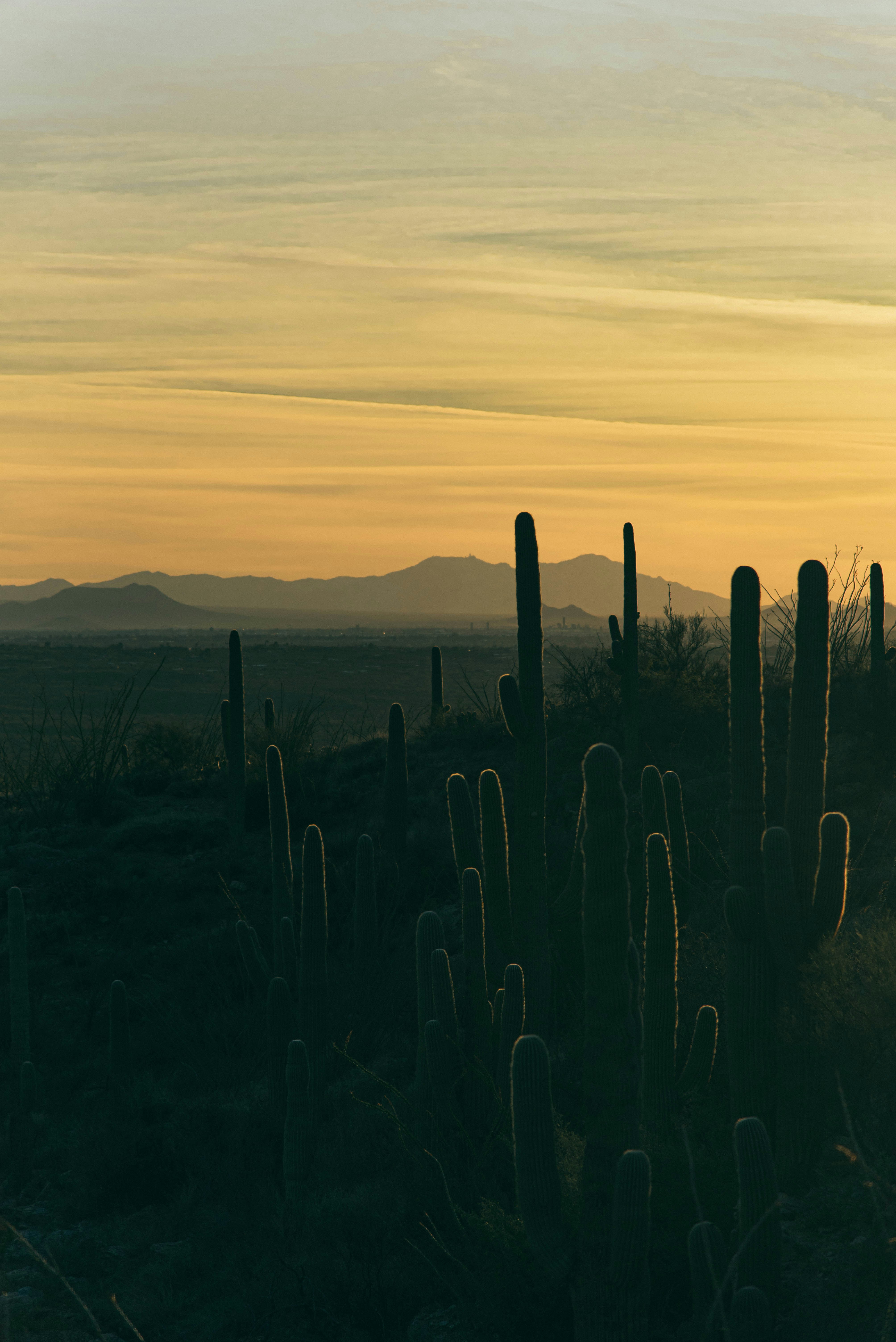 Country Backgrounds | 100+ best free photos on Unsplash