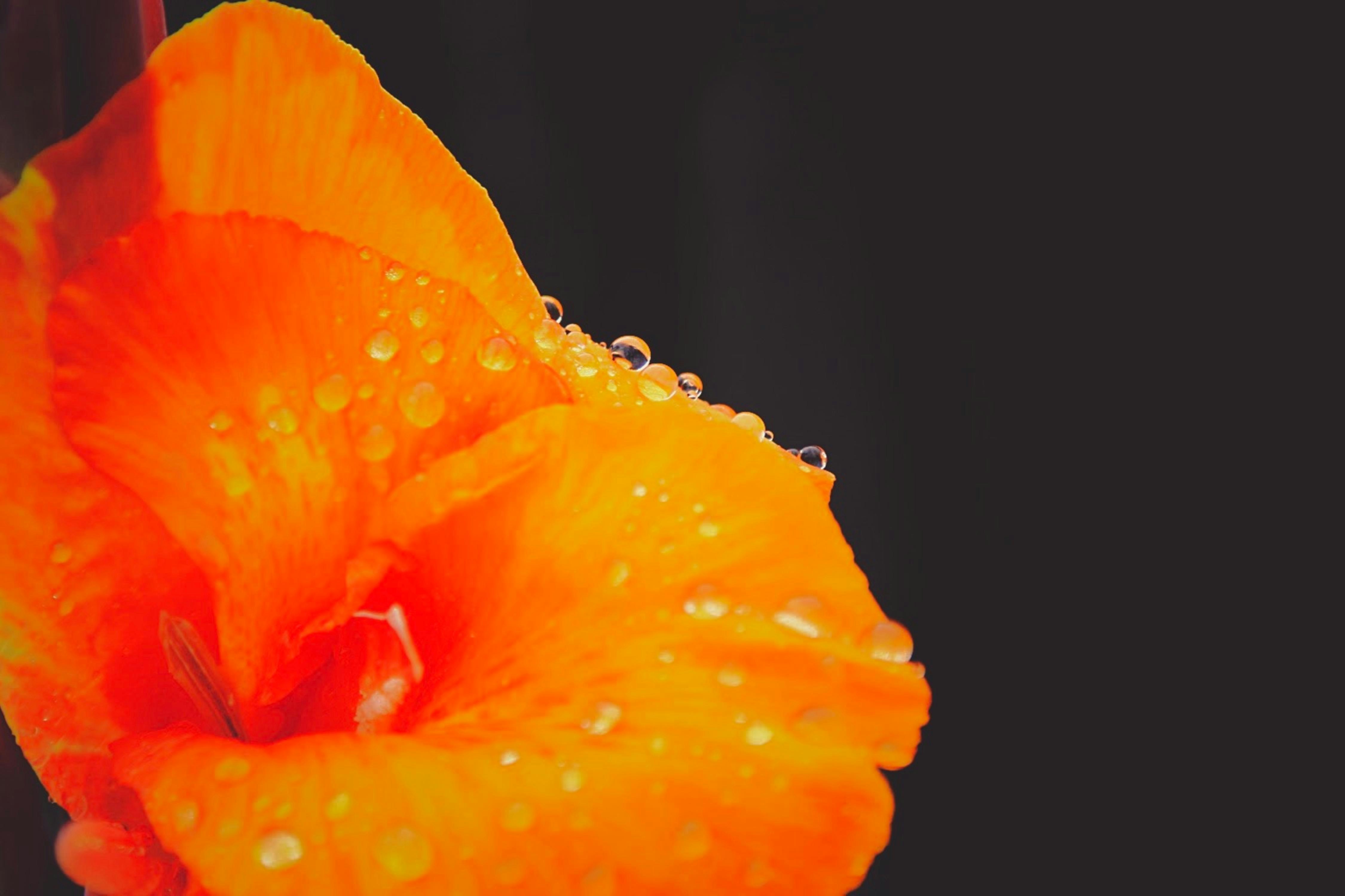 ryan baker (@neonekko) | Unsplashフォトコミュニティ