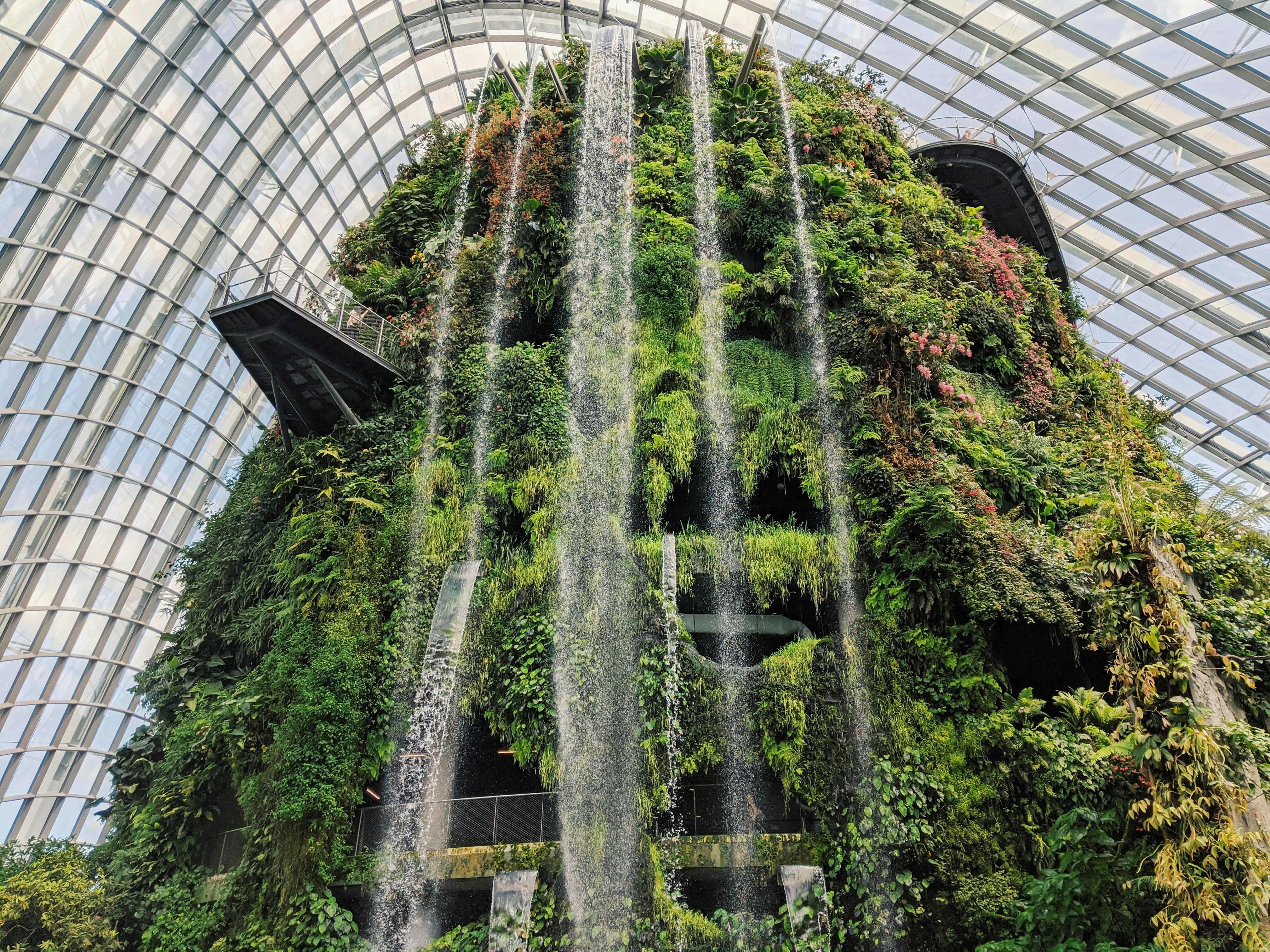 Verdant Cascade Under Glass