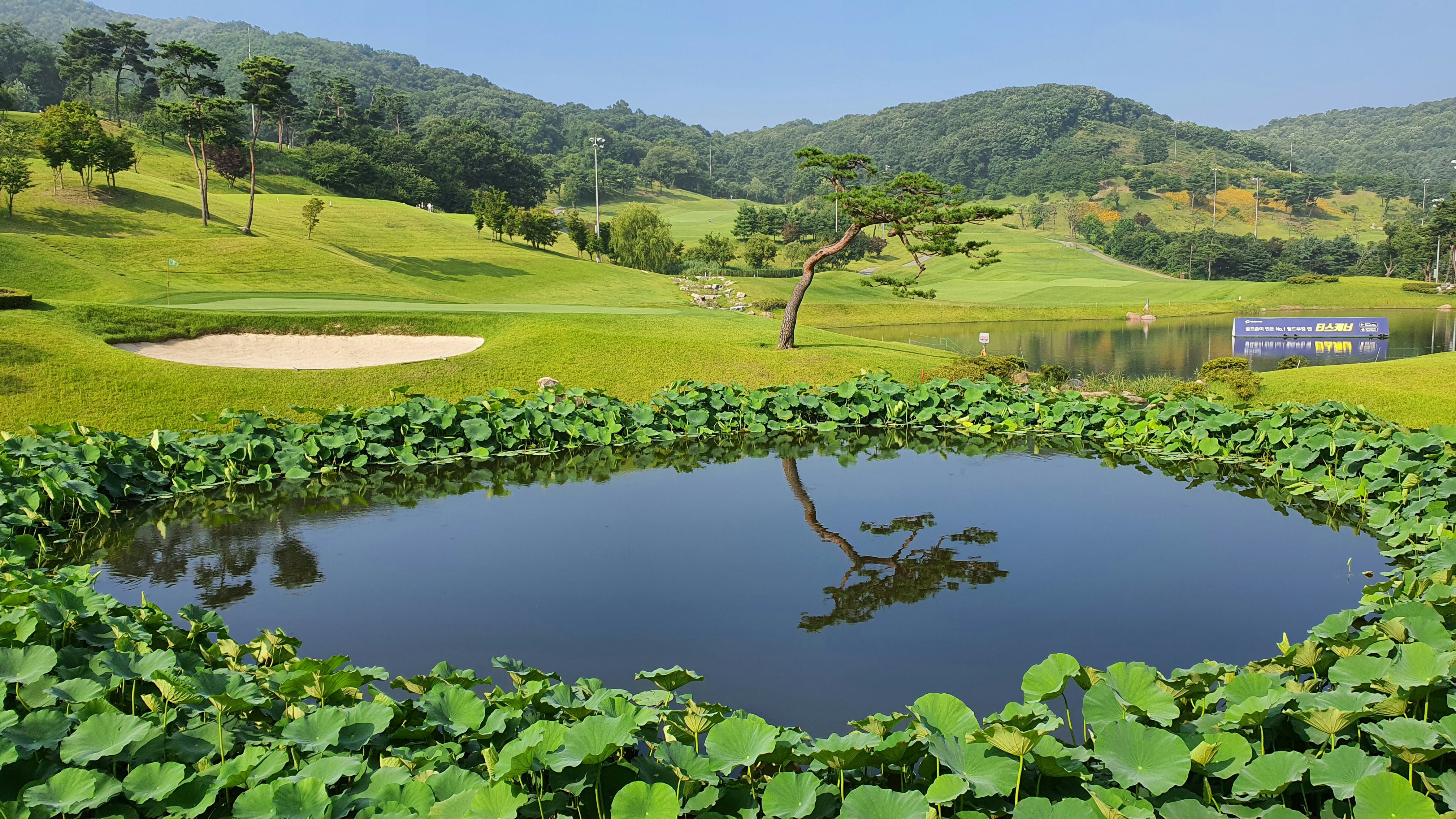 Golf Artificial Intelligence : Artificial Intelligence is Changing Golf ...