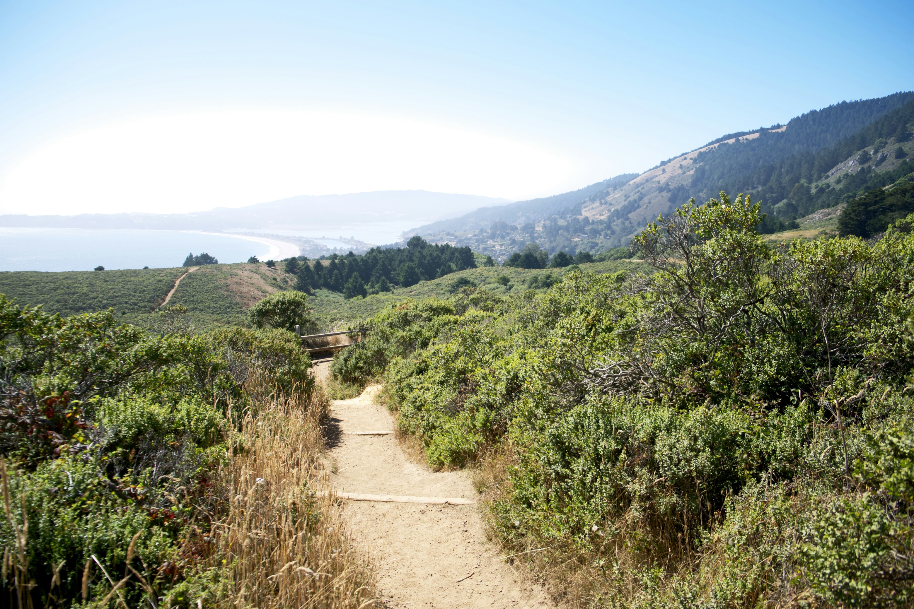 Sunlit Coastal Trail Through Shrubland to a Distant Cliff