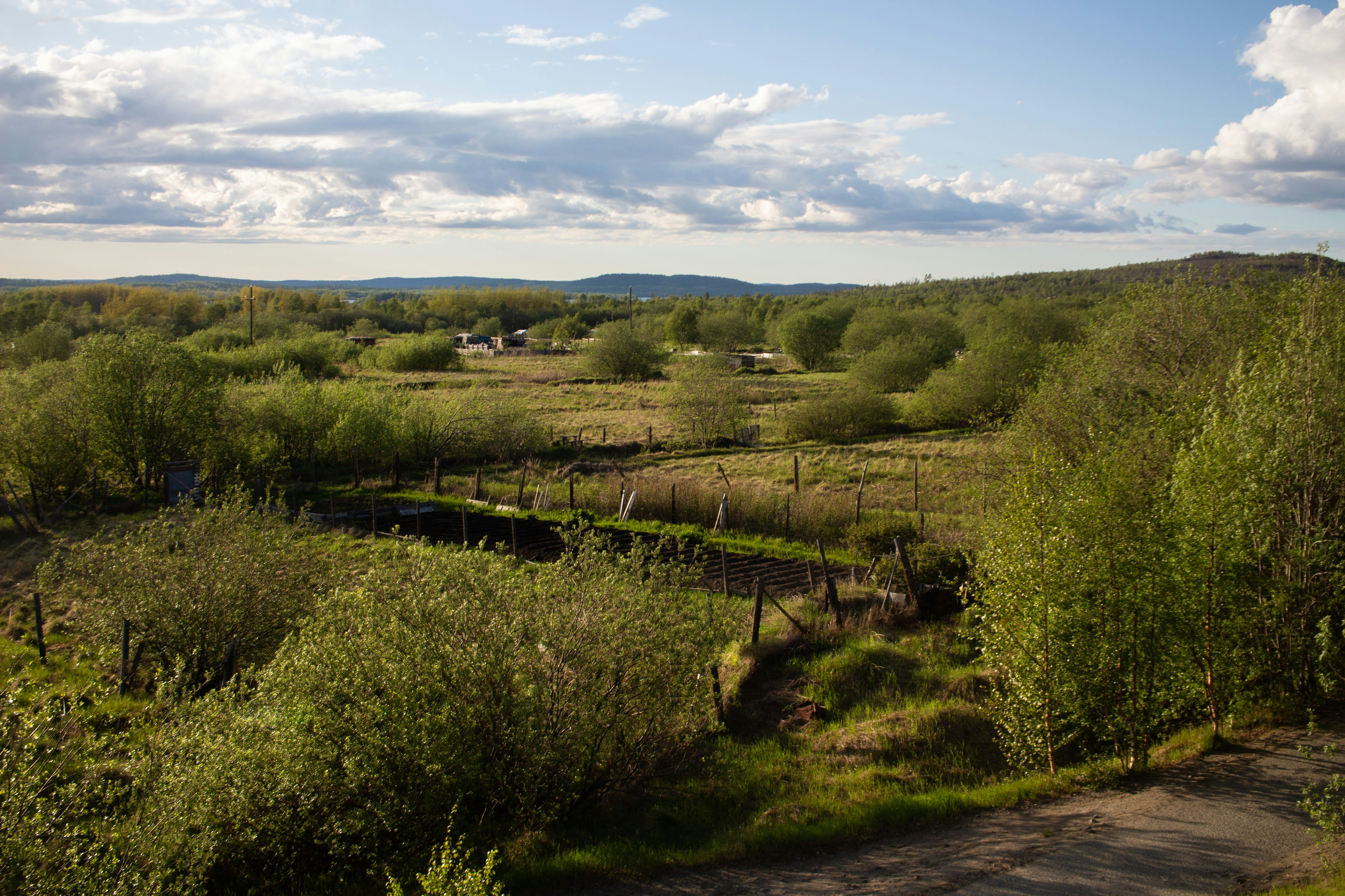 Expansive Serenity: Countryside Under a Vast Sky