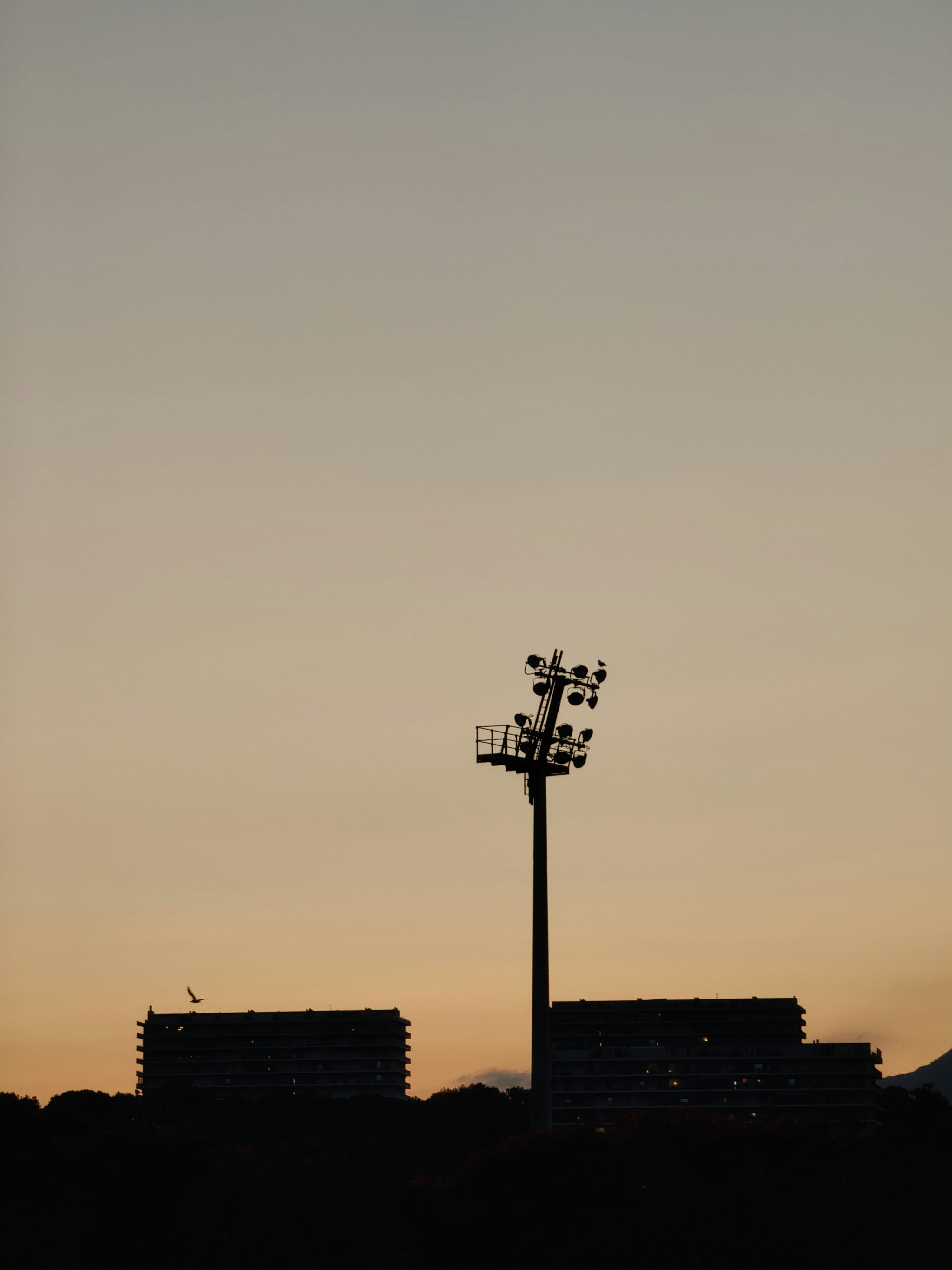 Silhouetted floodlight tower stands tall against a gradient twilight sky, flanked by shadowy apartment buildings. A lone bird can be seen perched on one of the structures.