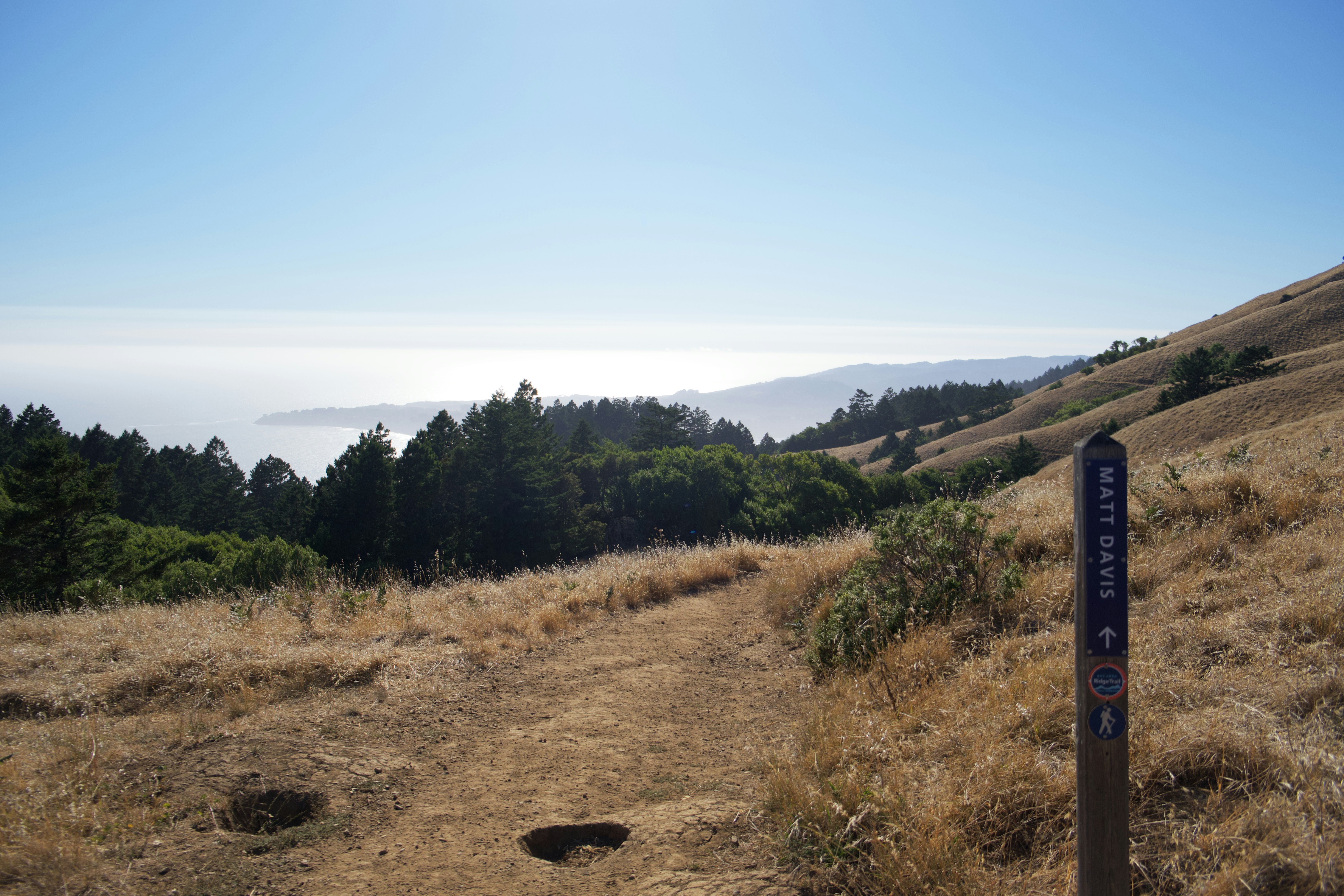 Ridge Trail Signpost Amid Golden Grass and a Misty Horizon