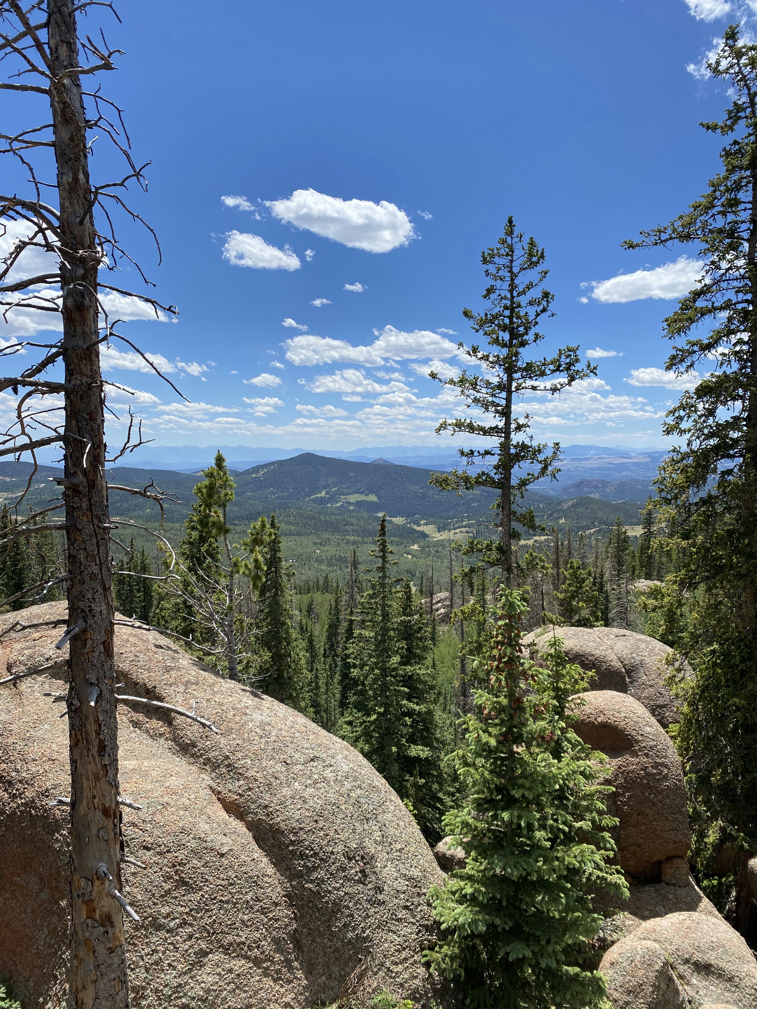 Green trees and brown mountain under blue sky during daytime photo ...