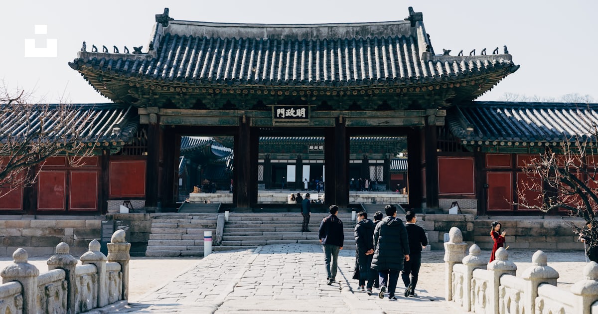 낮에 녹색과 갈색 건물 근처의 회색 콘크리트 통로를 걷는 사람들 사진 Unsplash의 무료 대한민국 이미지