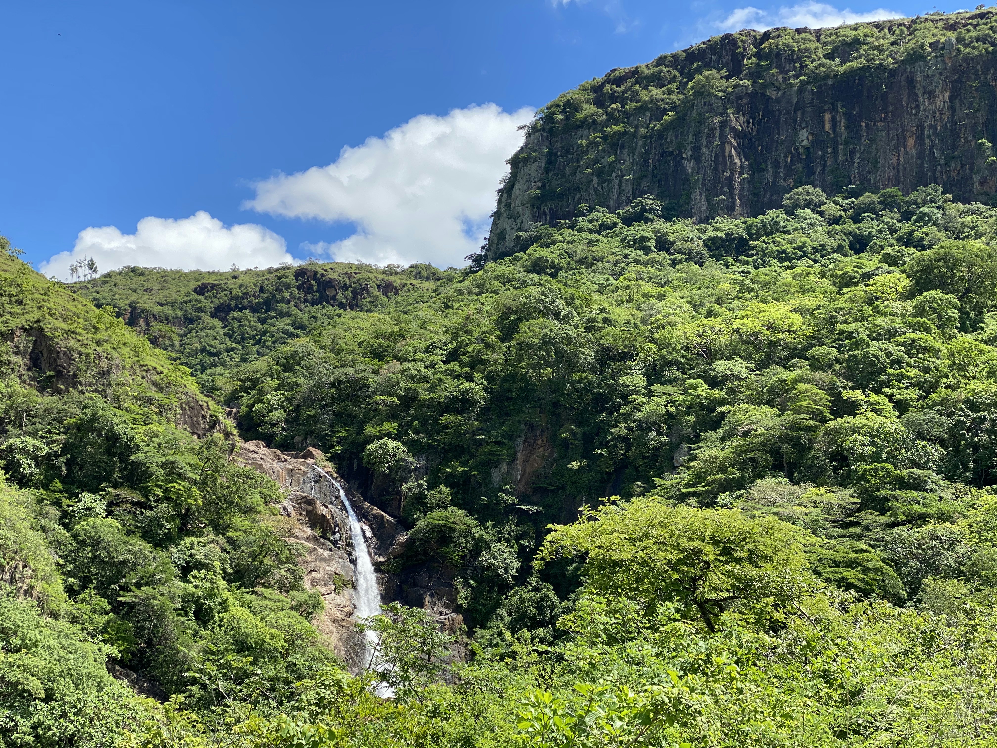 Verdant Cascade Amidst Rugged Cliffs