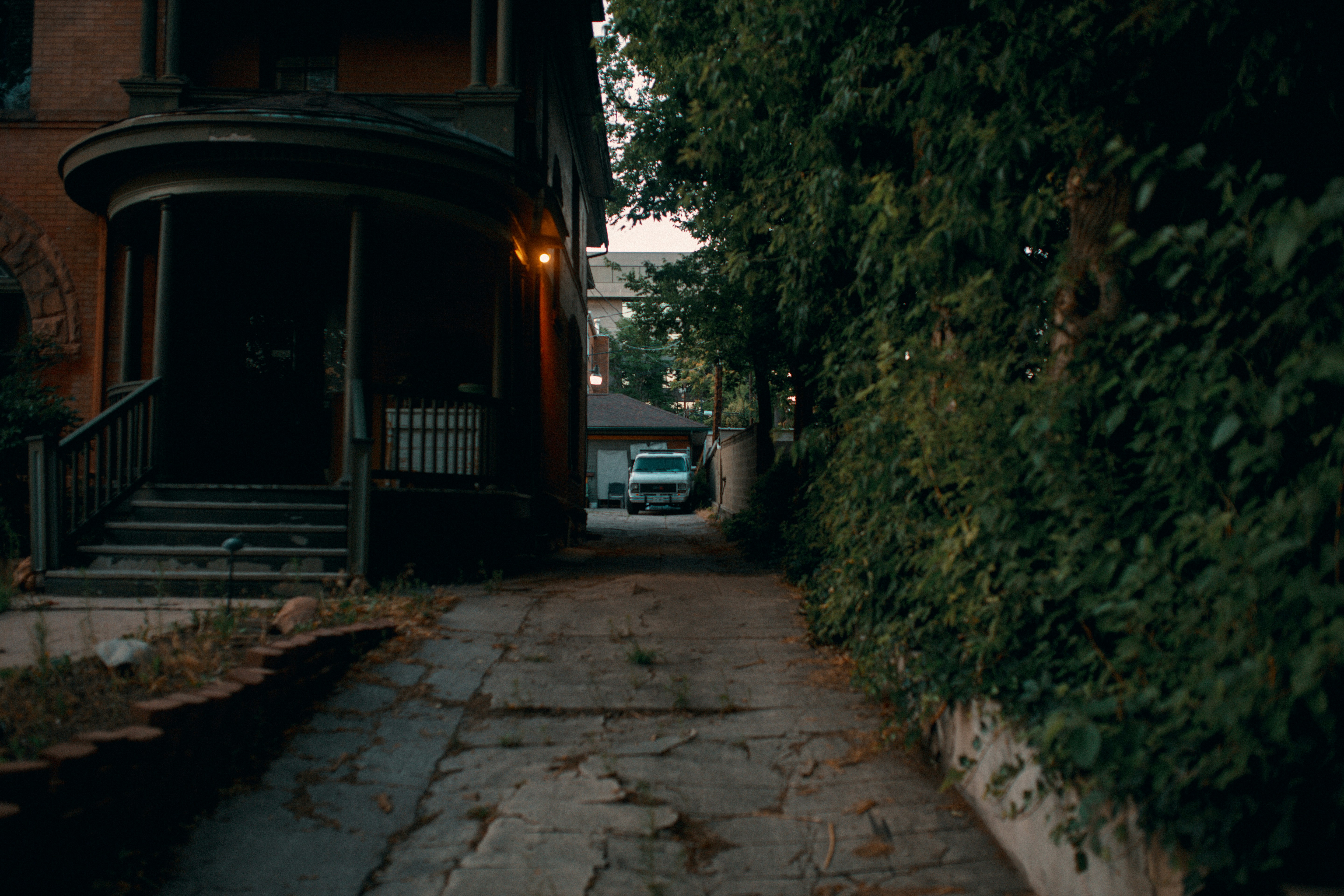 green trees beside gray concrete pathway during daytime