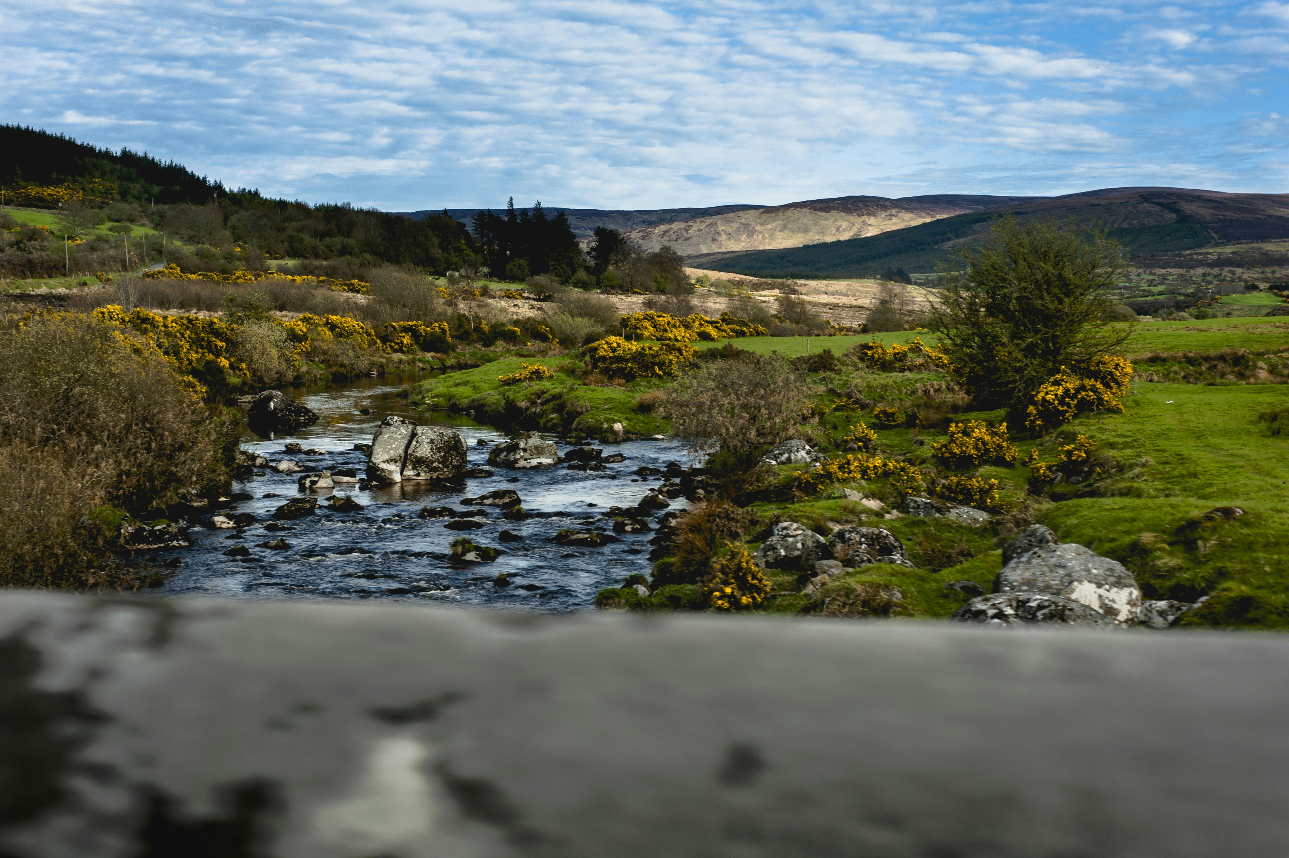 Gently flowing stream amidst vibrant green fields and yellow flowering shrubs under a partly cloudy sky.