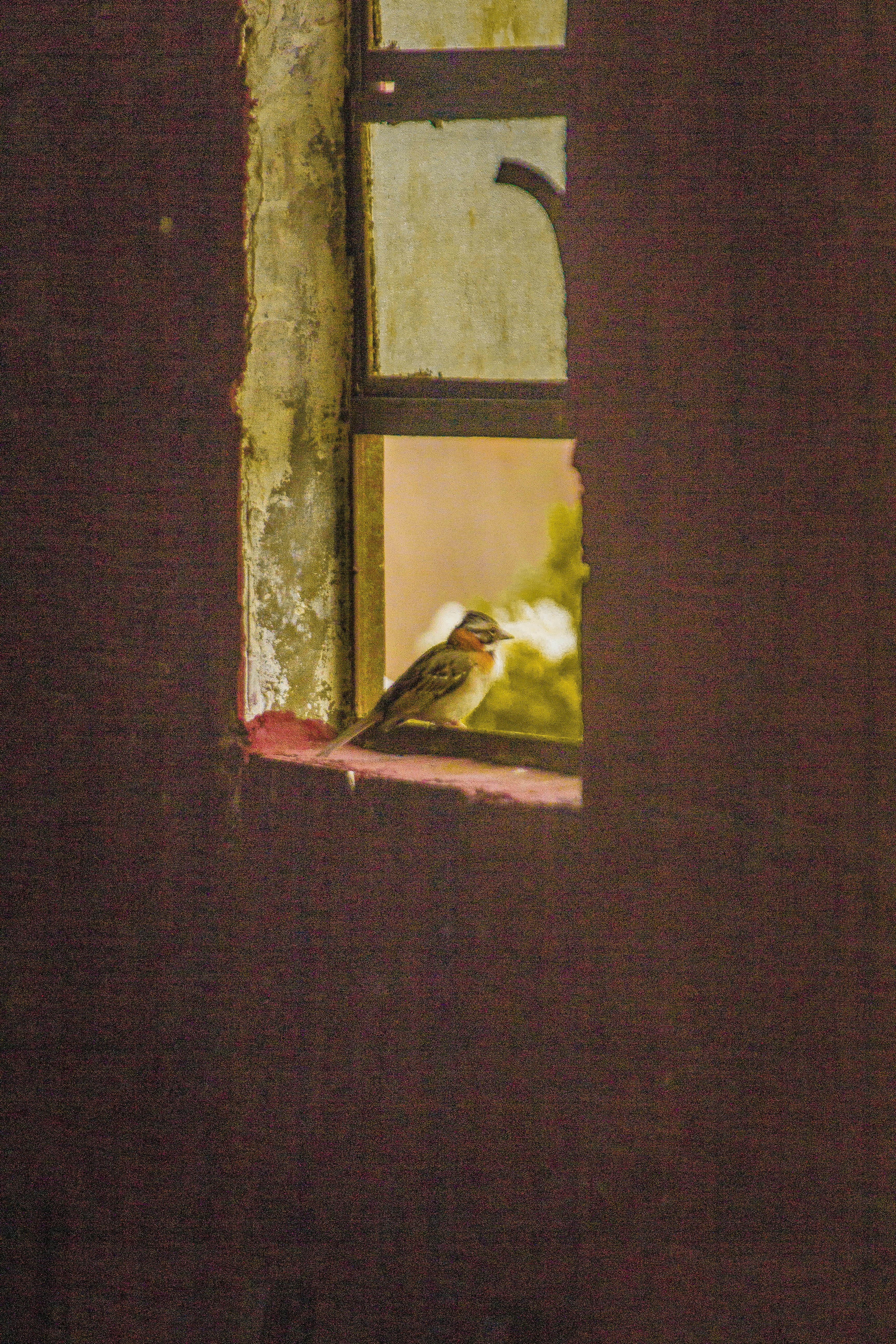 Ventana de baño viejo