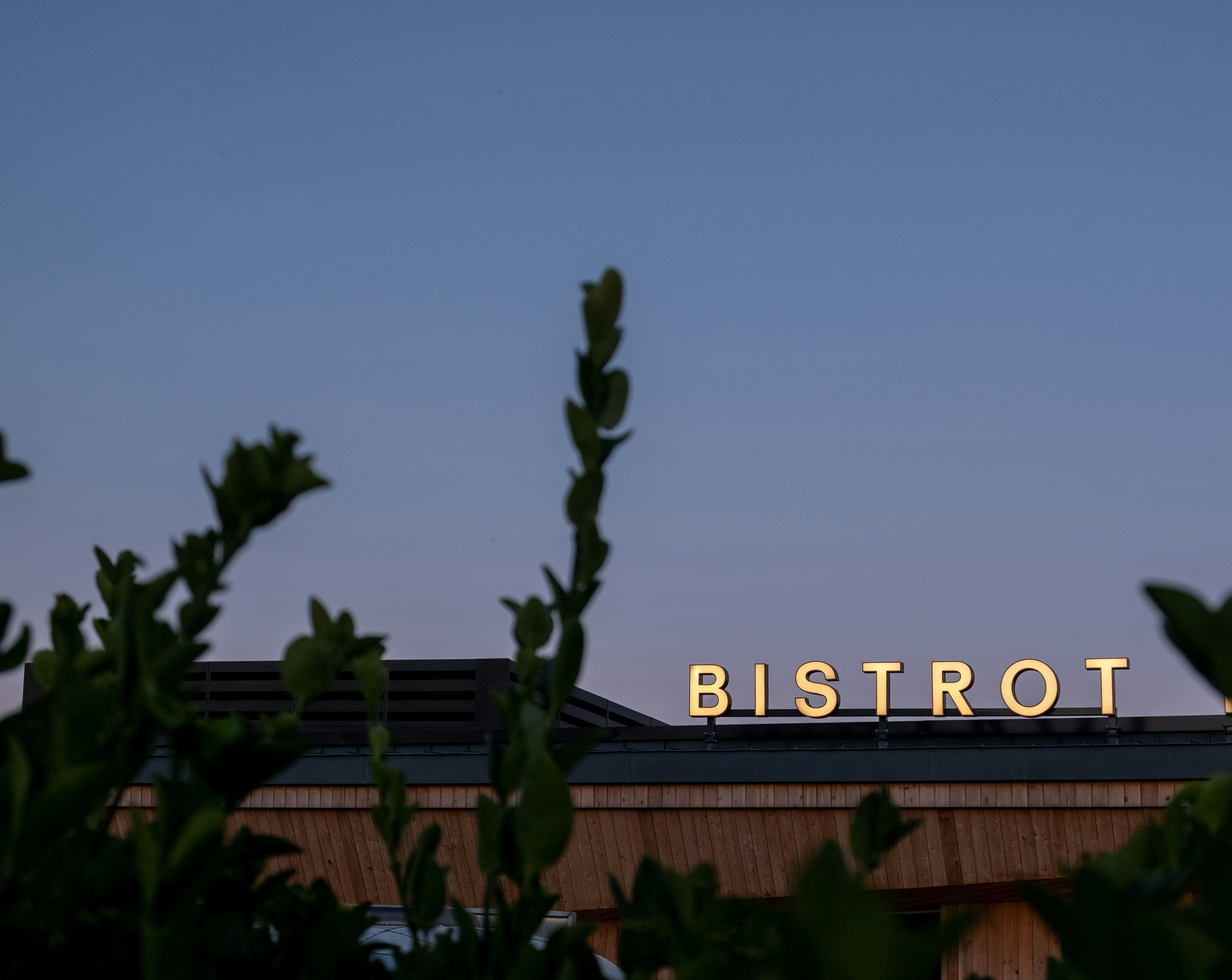 Dusk-lit Bistro Letters Framed by Fronds