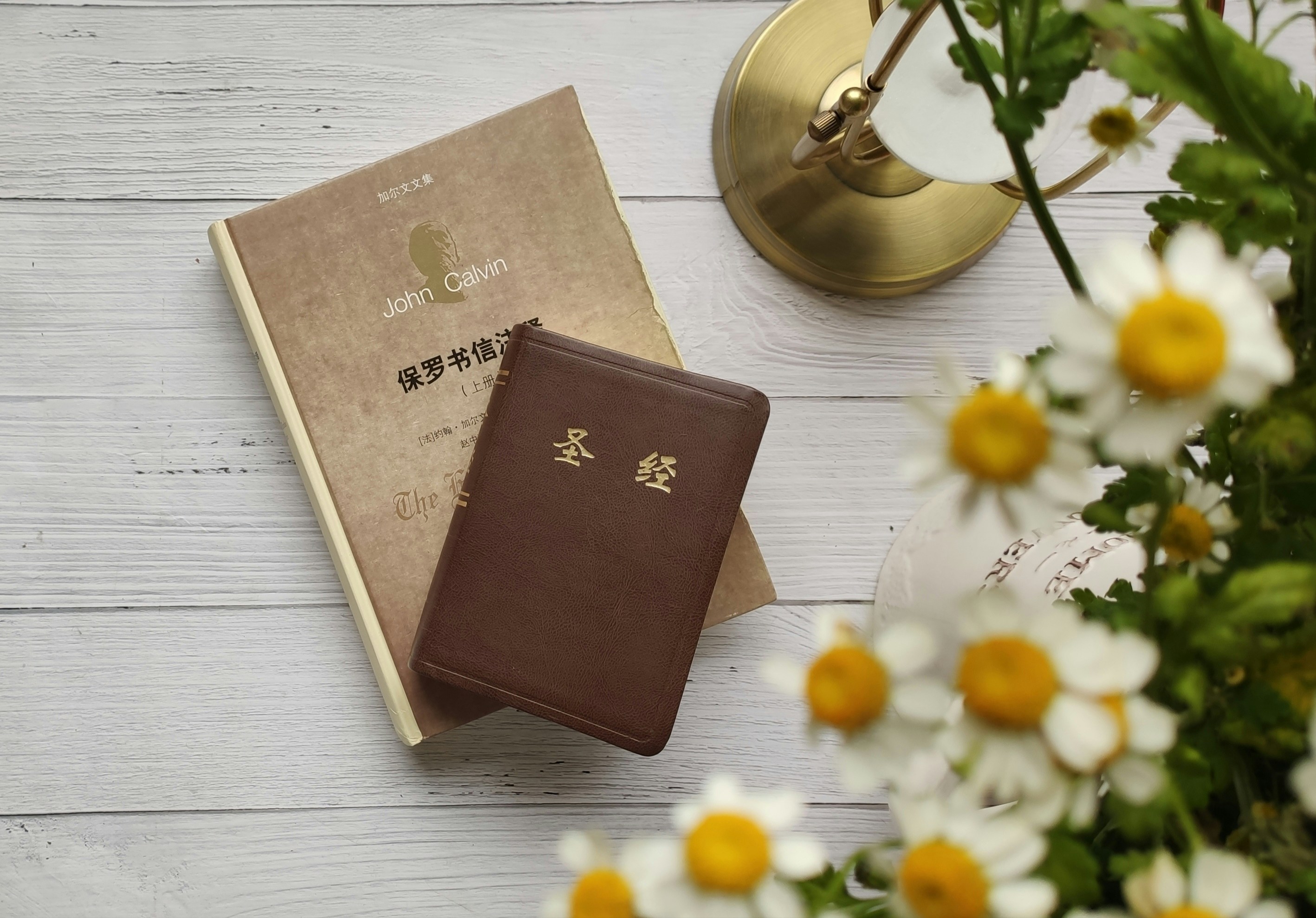 A tiny brown Bible rests on a larger beige book on a white-washed wooden surface, with white daisies in the foreground.