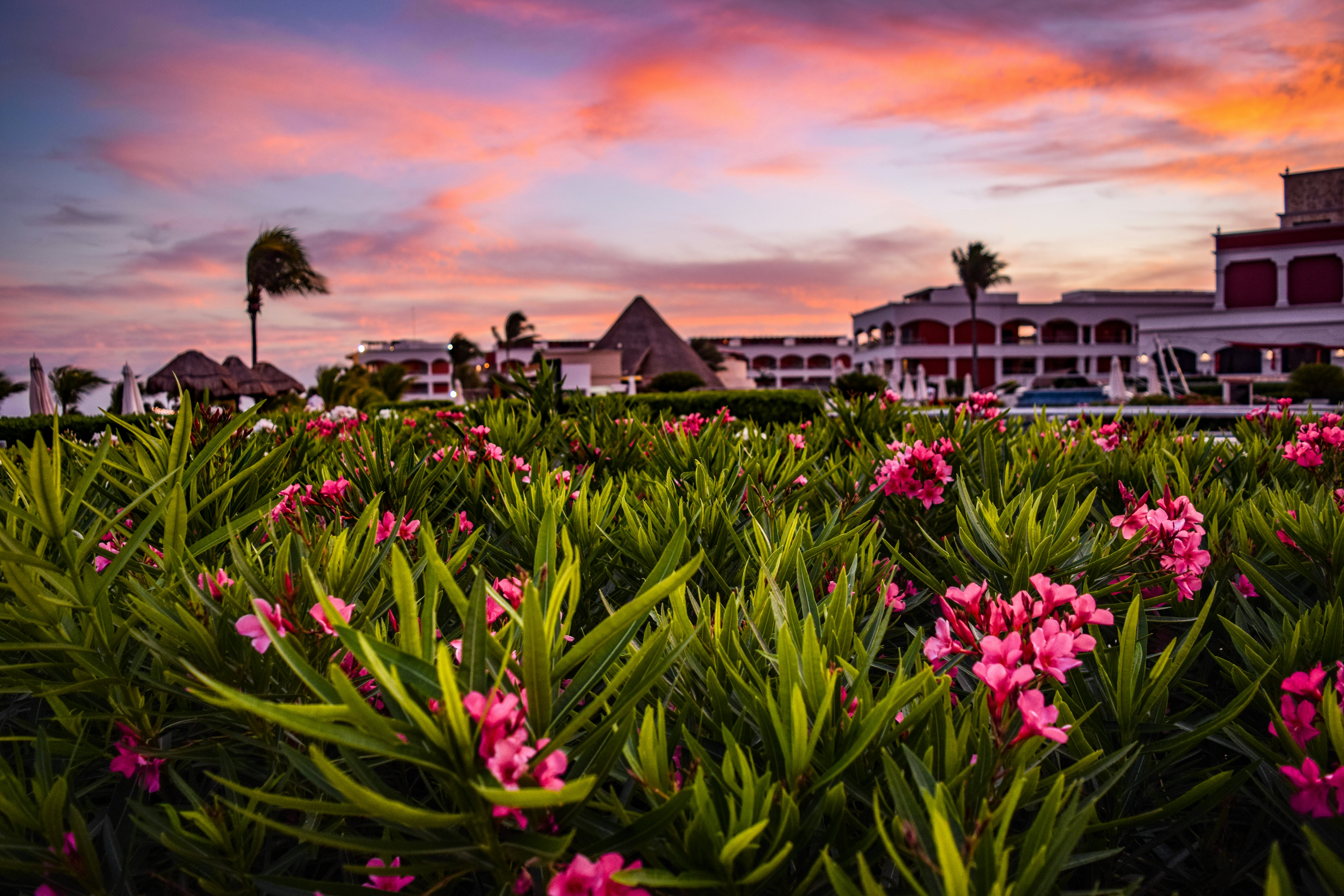 Sunset Over a Tiled Resort Garden BedEngin Yapici