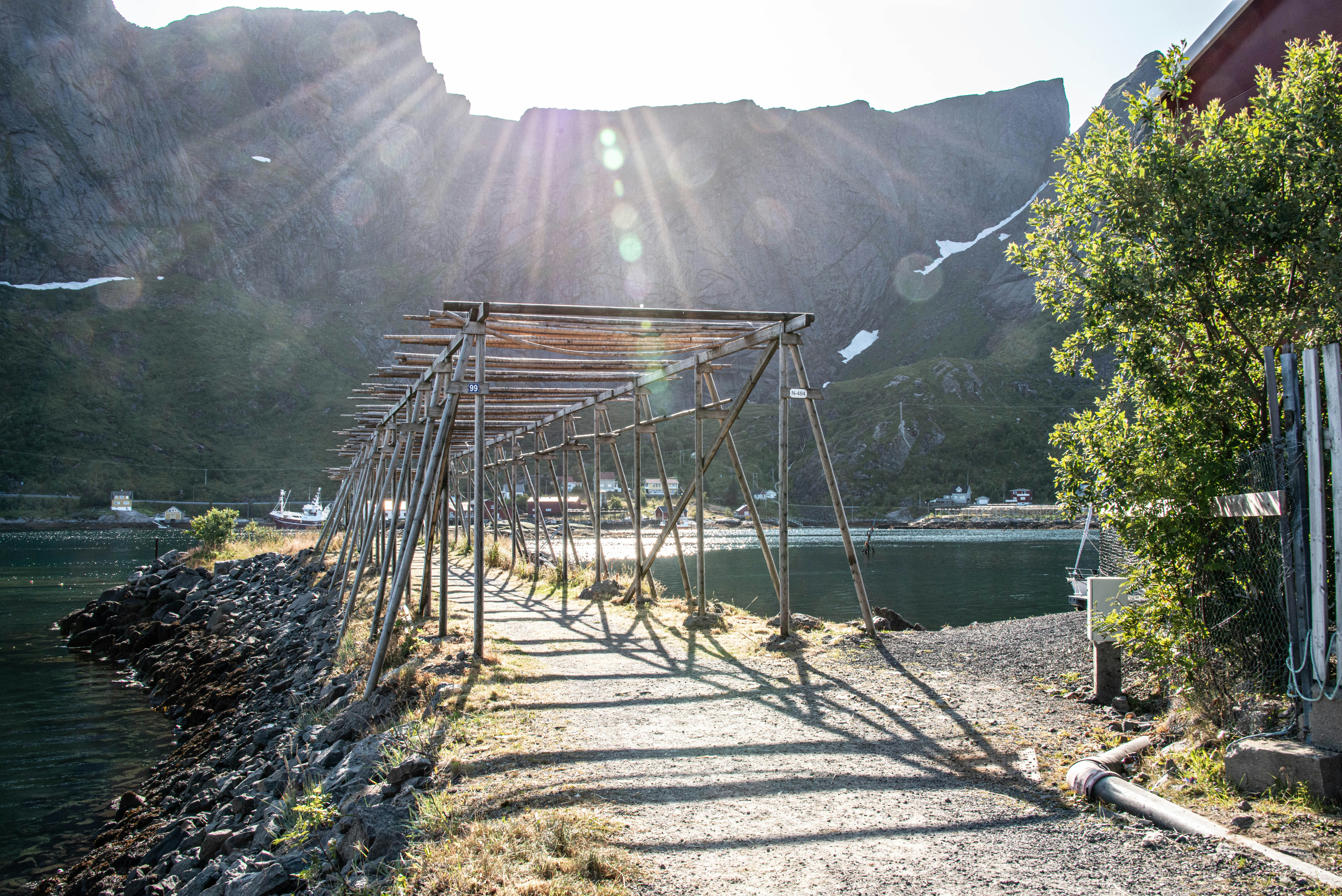 Timber Pier Reaching the Fjord: Sunlit Lines Under Mountain Giants