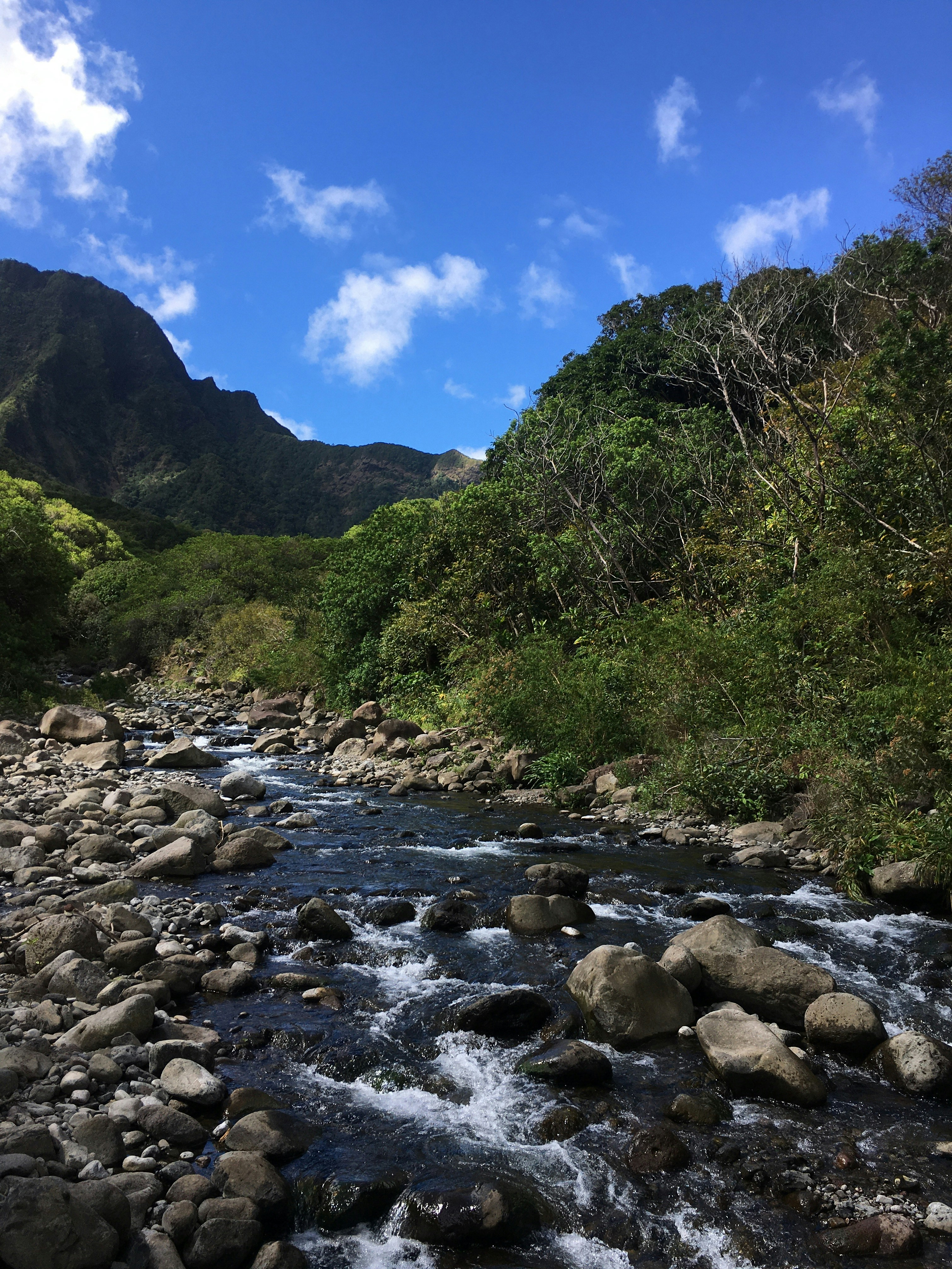Rivulets and Rolling Pebbles: A Mountain River Under a Blue-Sky Canopy
